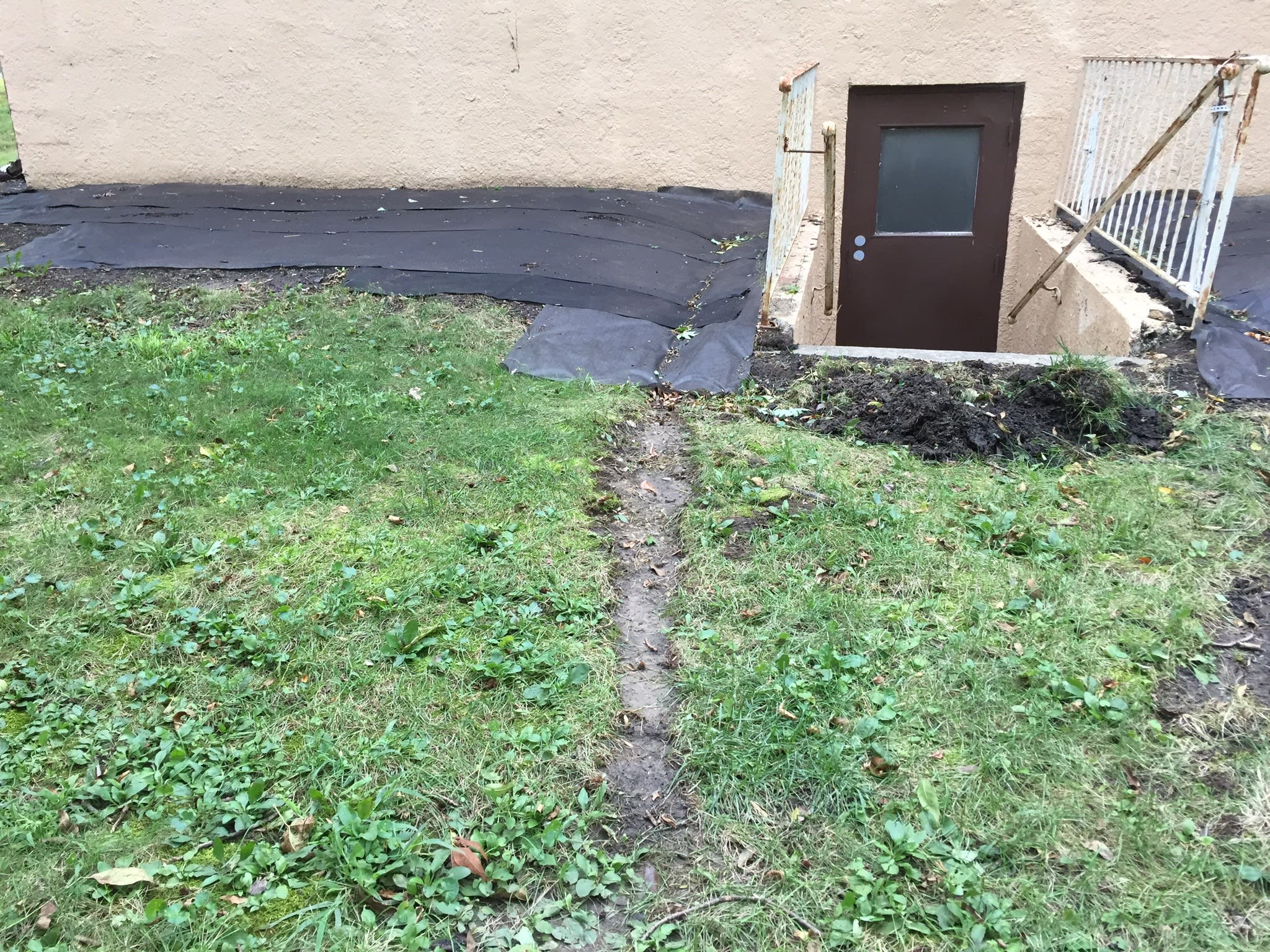 Protect Building Foundations by Rainscaping - Dengarden