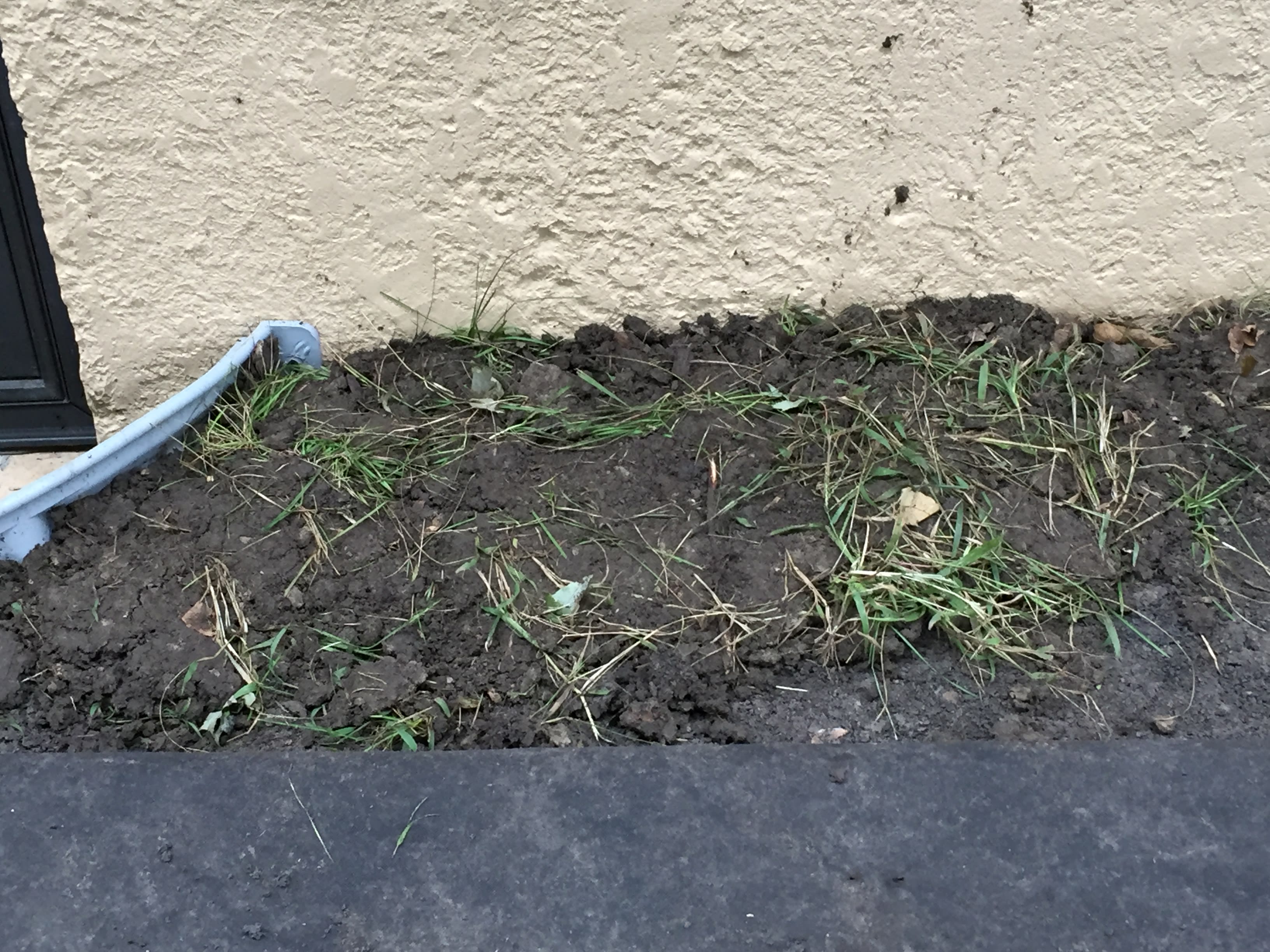 Protect Building Foundations by Rainscaping - Dengarden