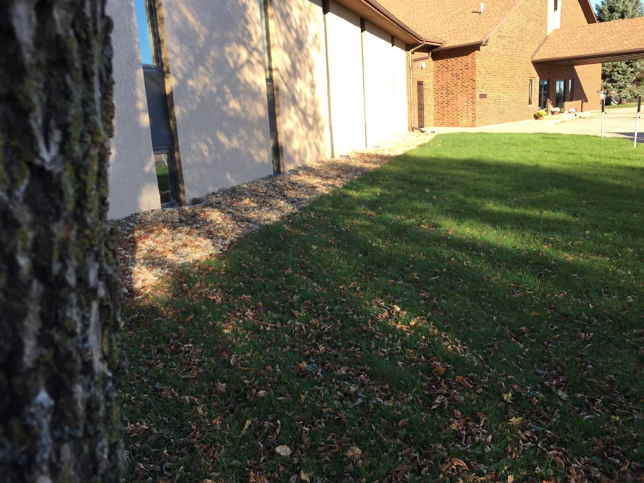 Protect Building Foundations by Rainscaping - Dengarden