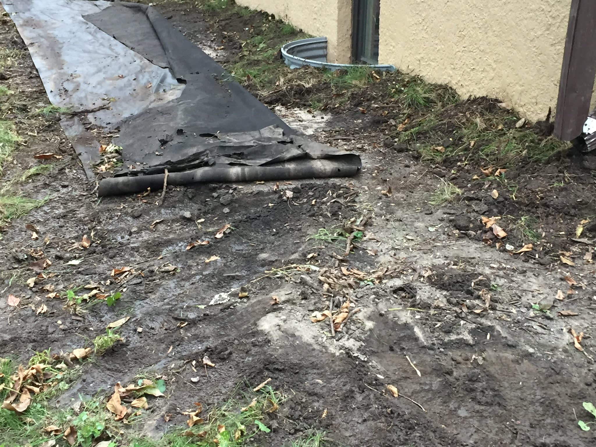 Protect Building Foundations by Rainscaping - Dengarden