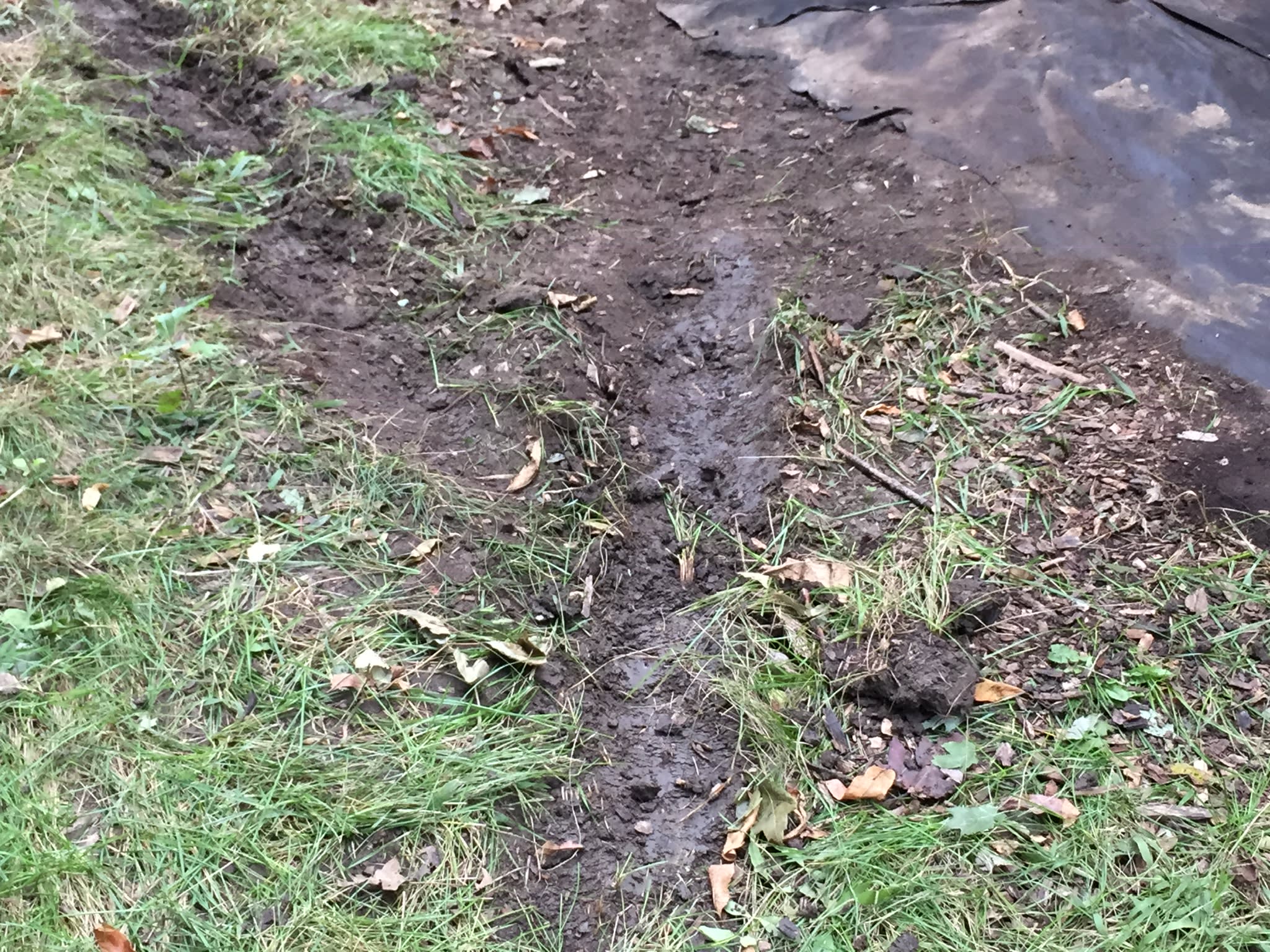 Protect Building Foundations by Rainscaping - Dengarden