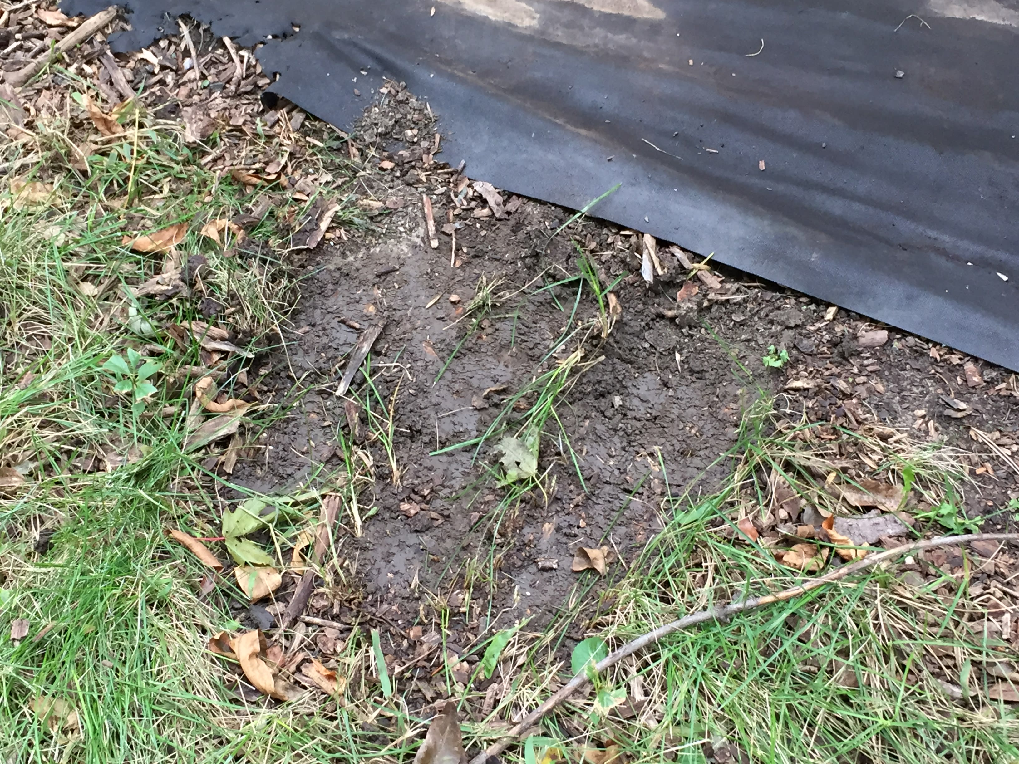 Protect Building Foundations by Rainscaping - Dengarden