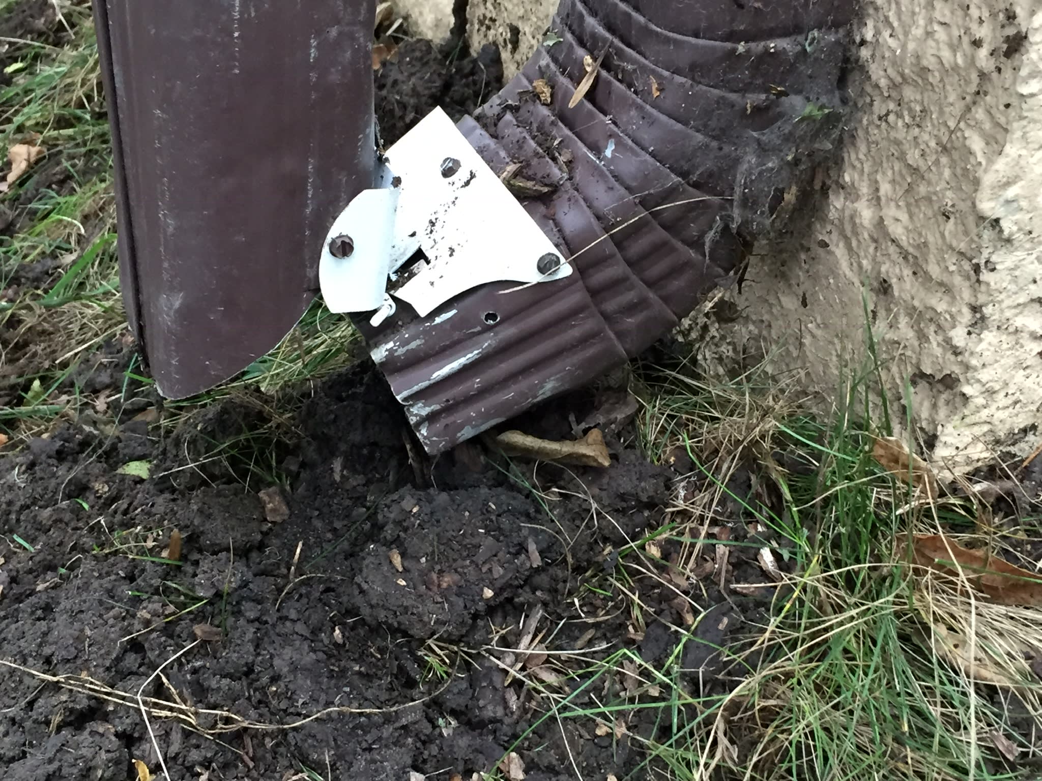 Protect Building Foundations by Rainscaping - Dengarden