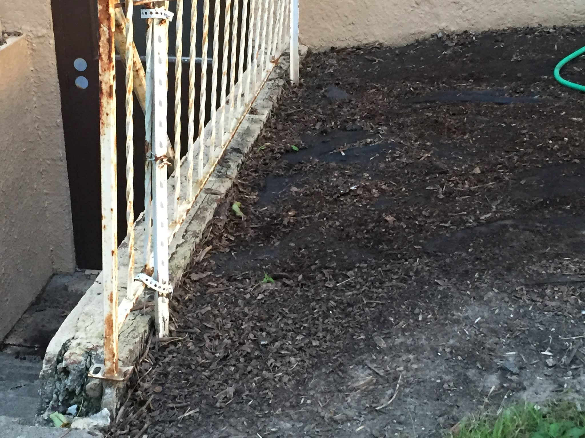 Protect Building Foundations by Rainscaping - Dengarden