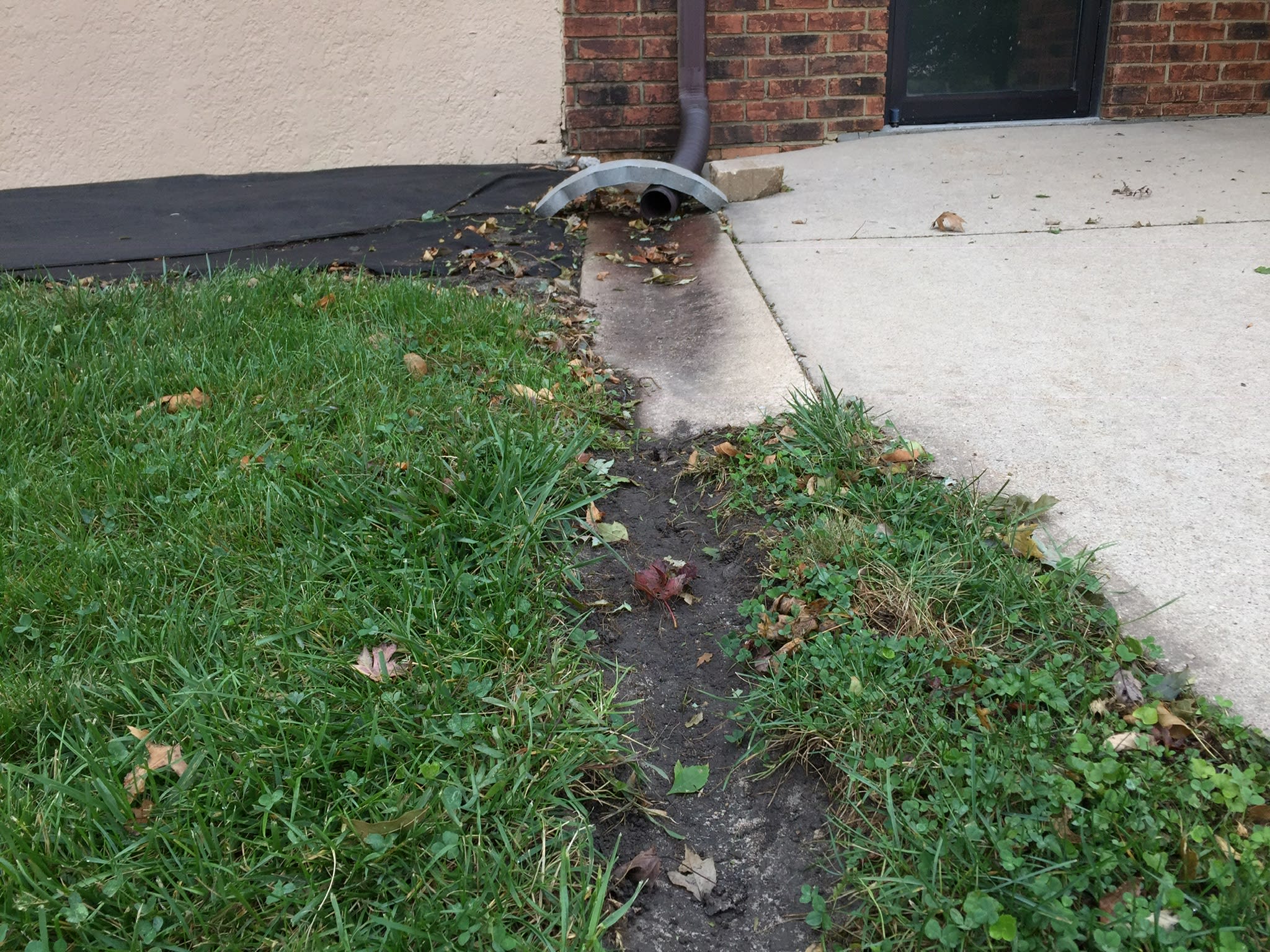 Protect Building Foundations by Rainscaping - Dengarden