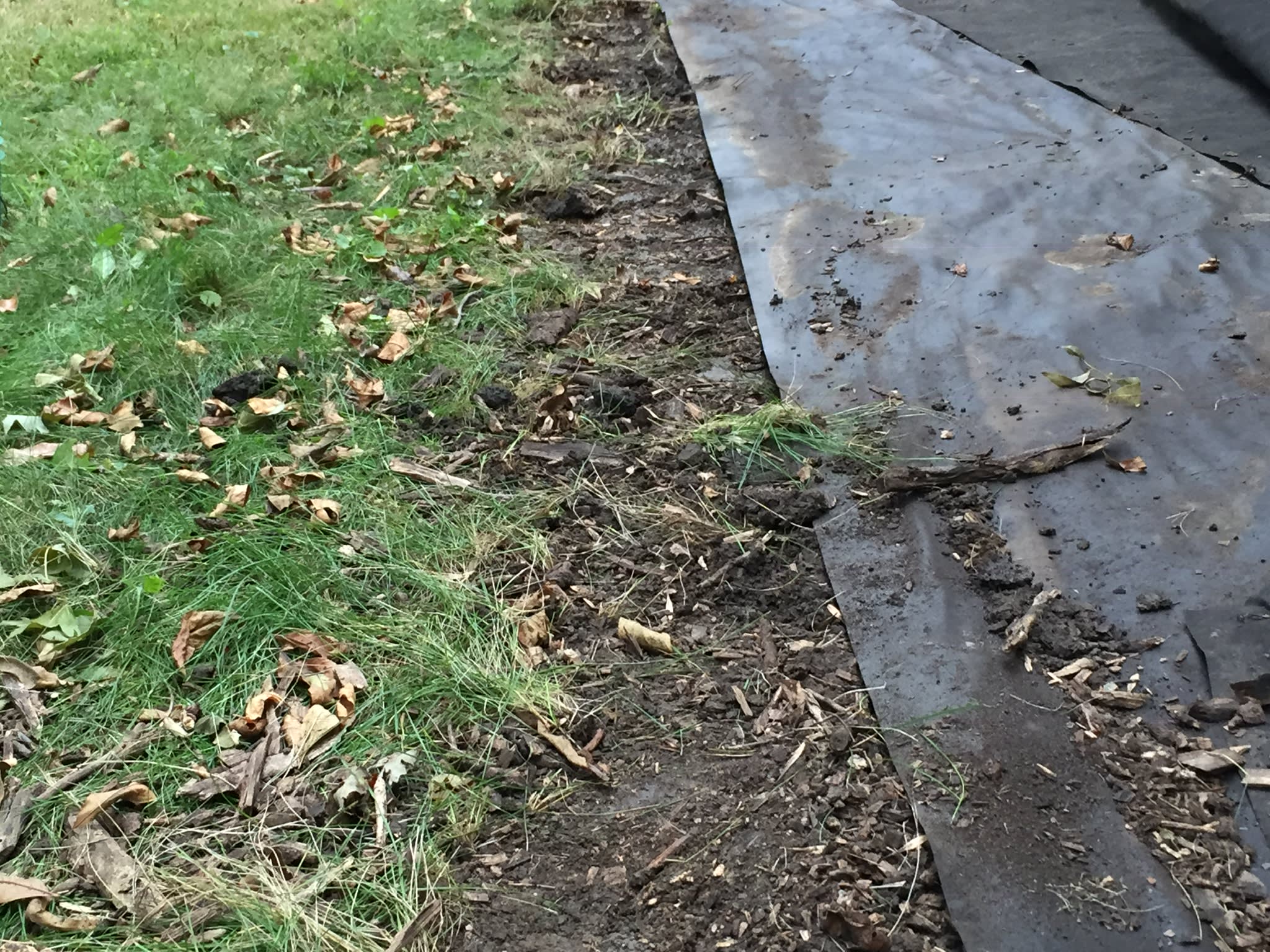 Protect Building Foundations by Rainscaping - Dengarden