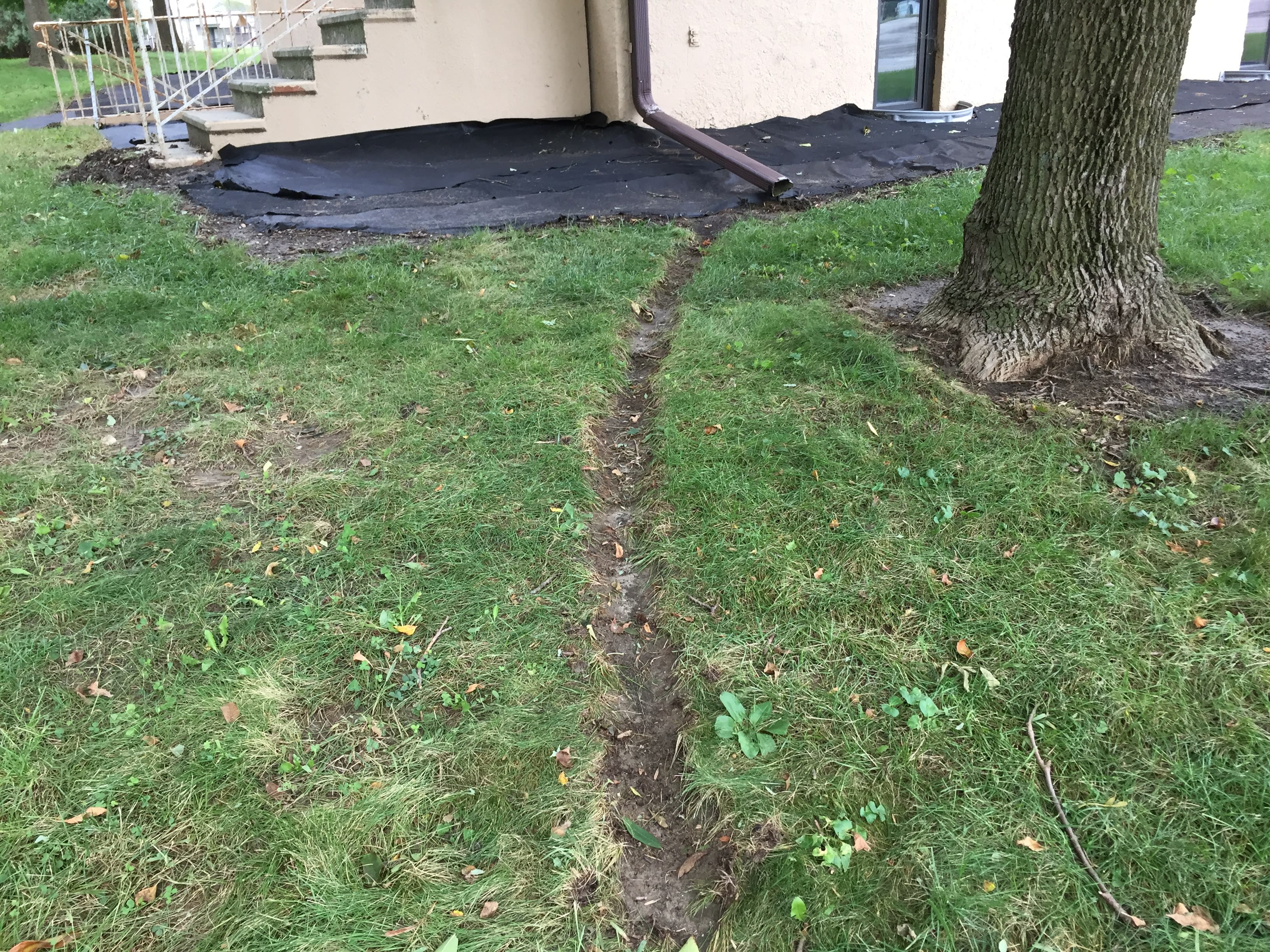 Protect Building Foundations by Rainscaping - Dengarden