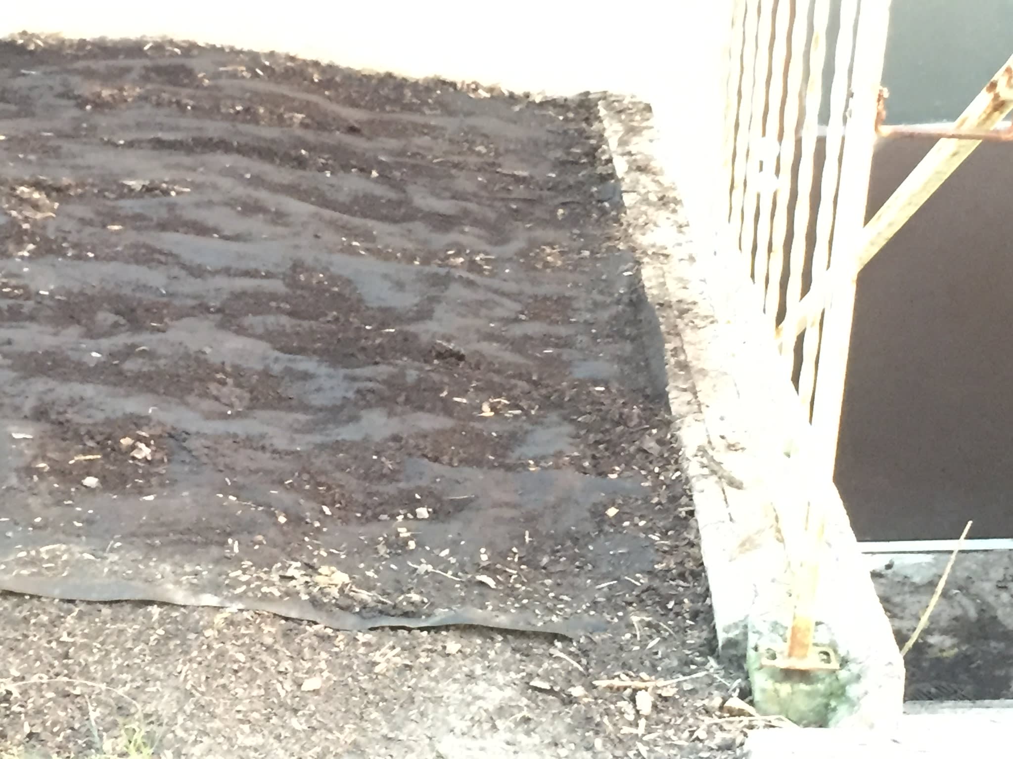 Protect Building Foundations by Rainscaping - Dengarden