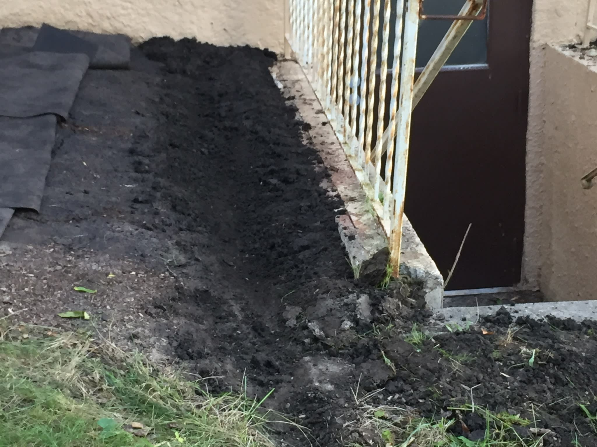 Protect Building Foundations by Rainscaping - Dengarden