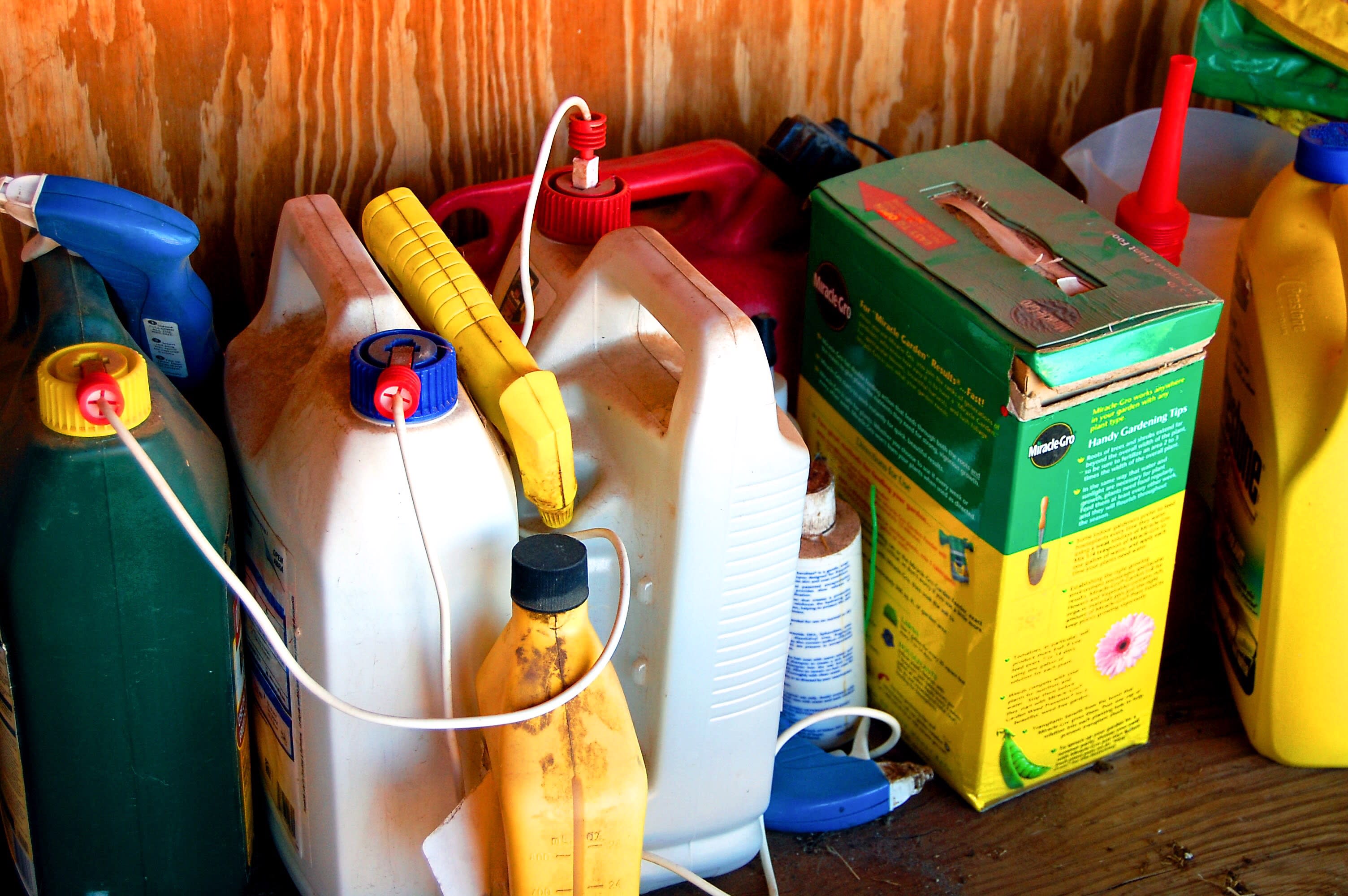 Silverfish Features, Life Cycle, Effects, and Pest Control - Dengarden