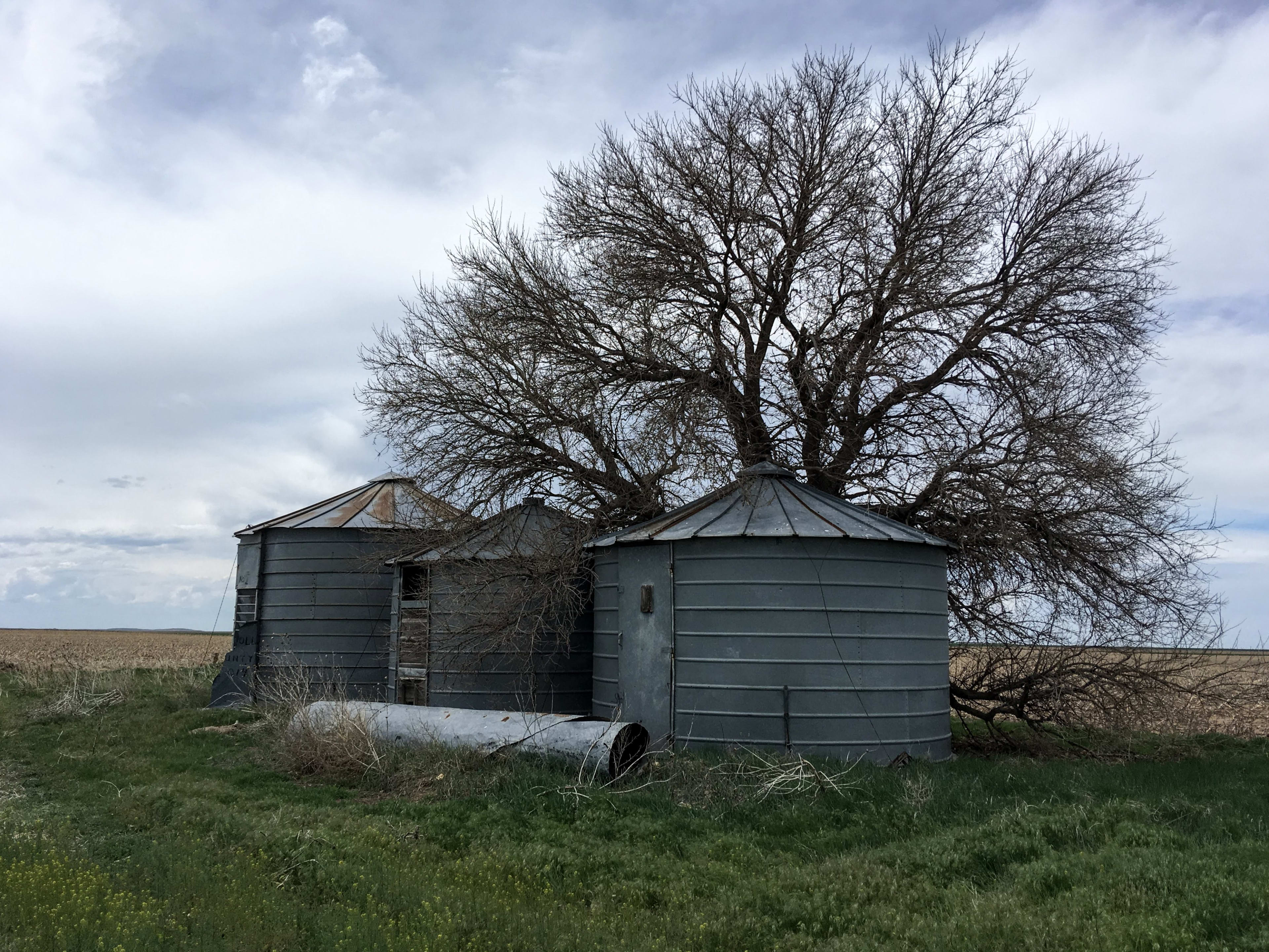 How to Find Used Grain Bins (Silos) for Sale: Location and Value ...