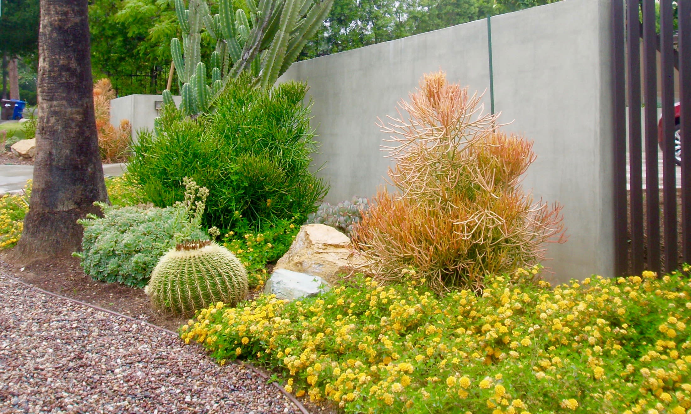 Landscape Design Ideas, Styles, and Themes - Dengarden
