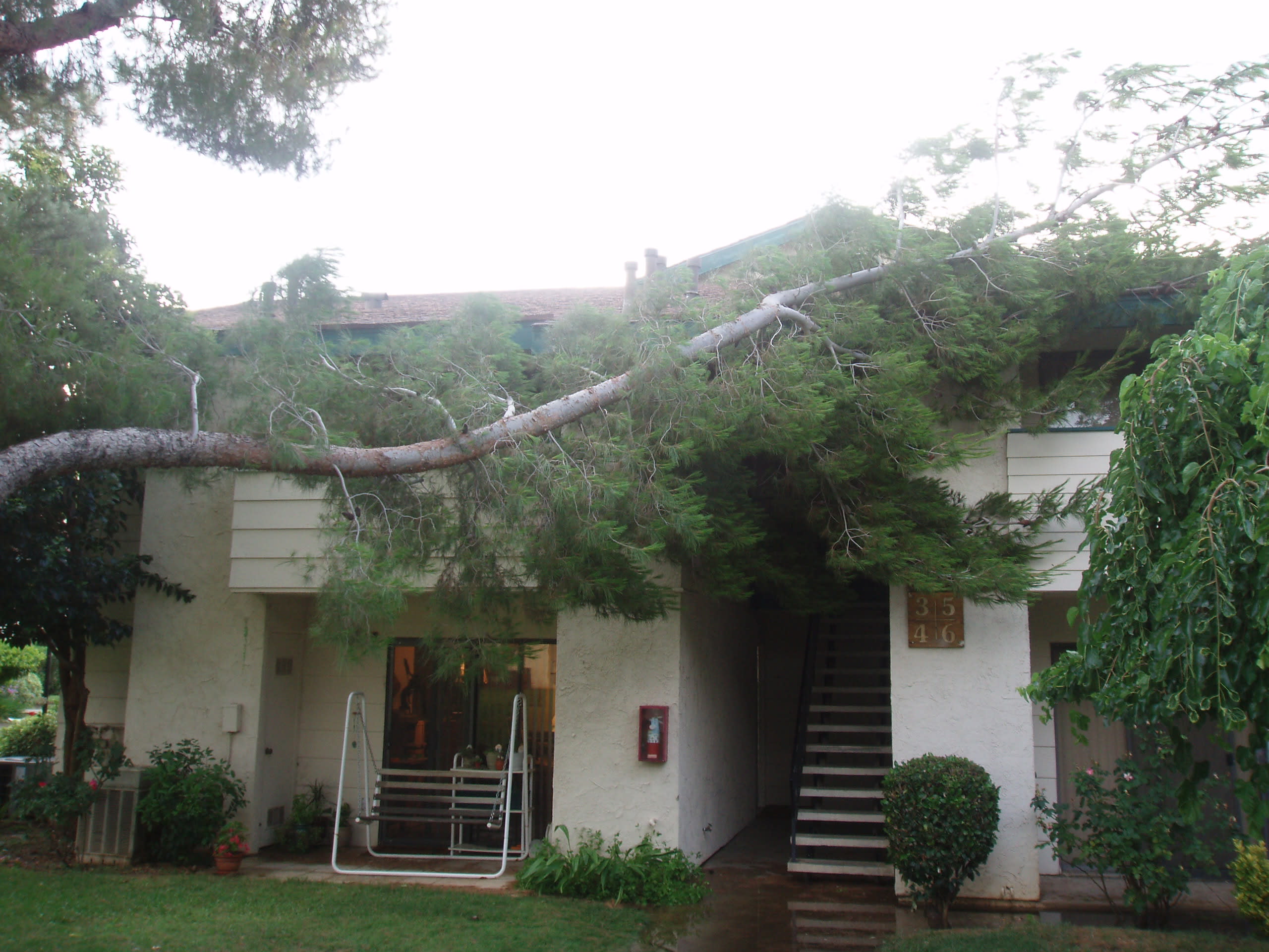 Weather and Environmental Factors in Green Landscape Design - Dengarden