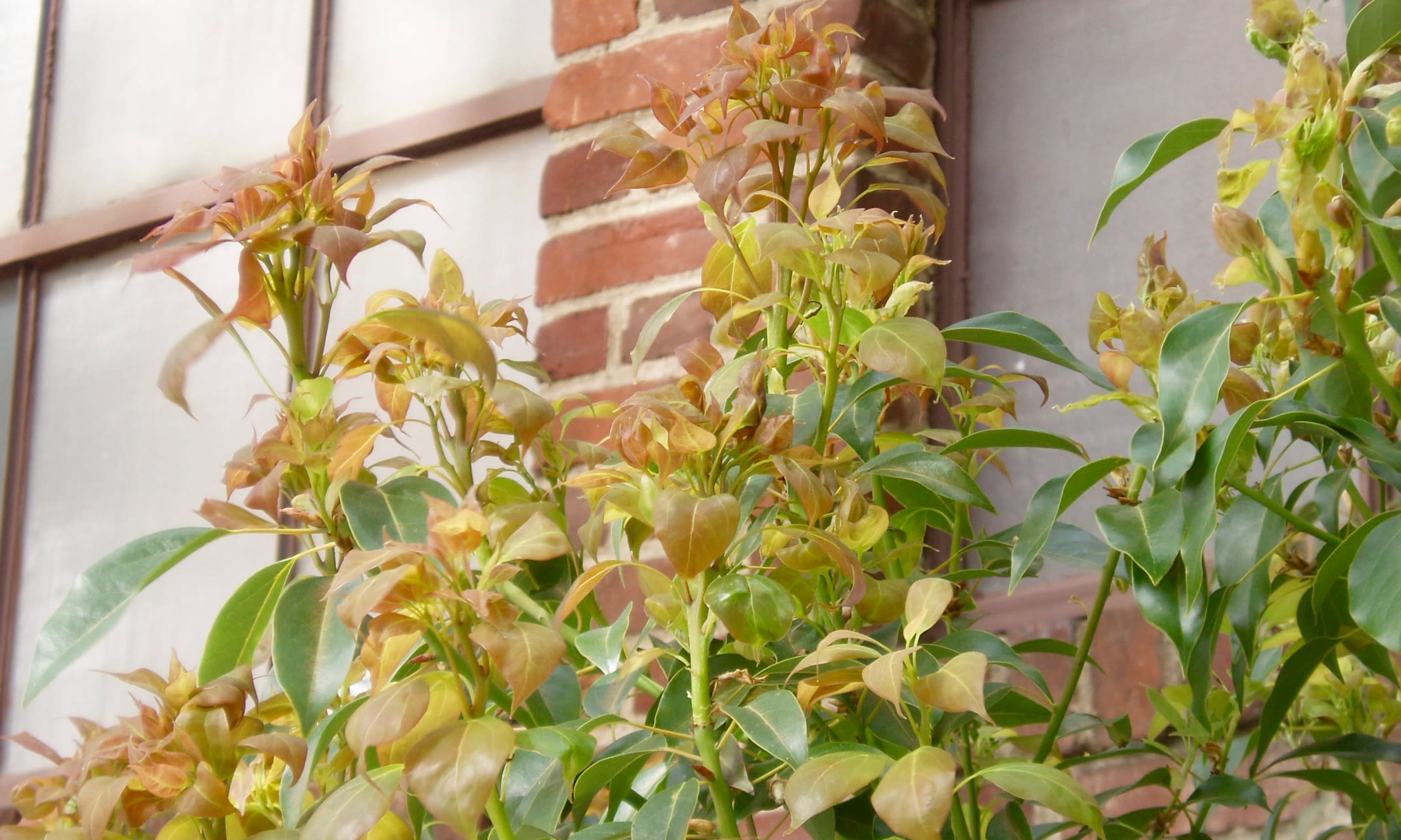 Design Principles That Make Your Landscape Attractive - Dengarden