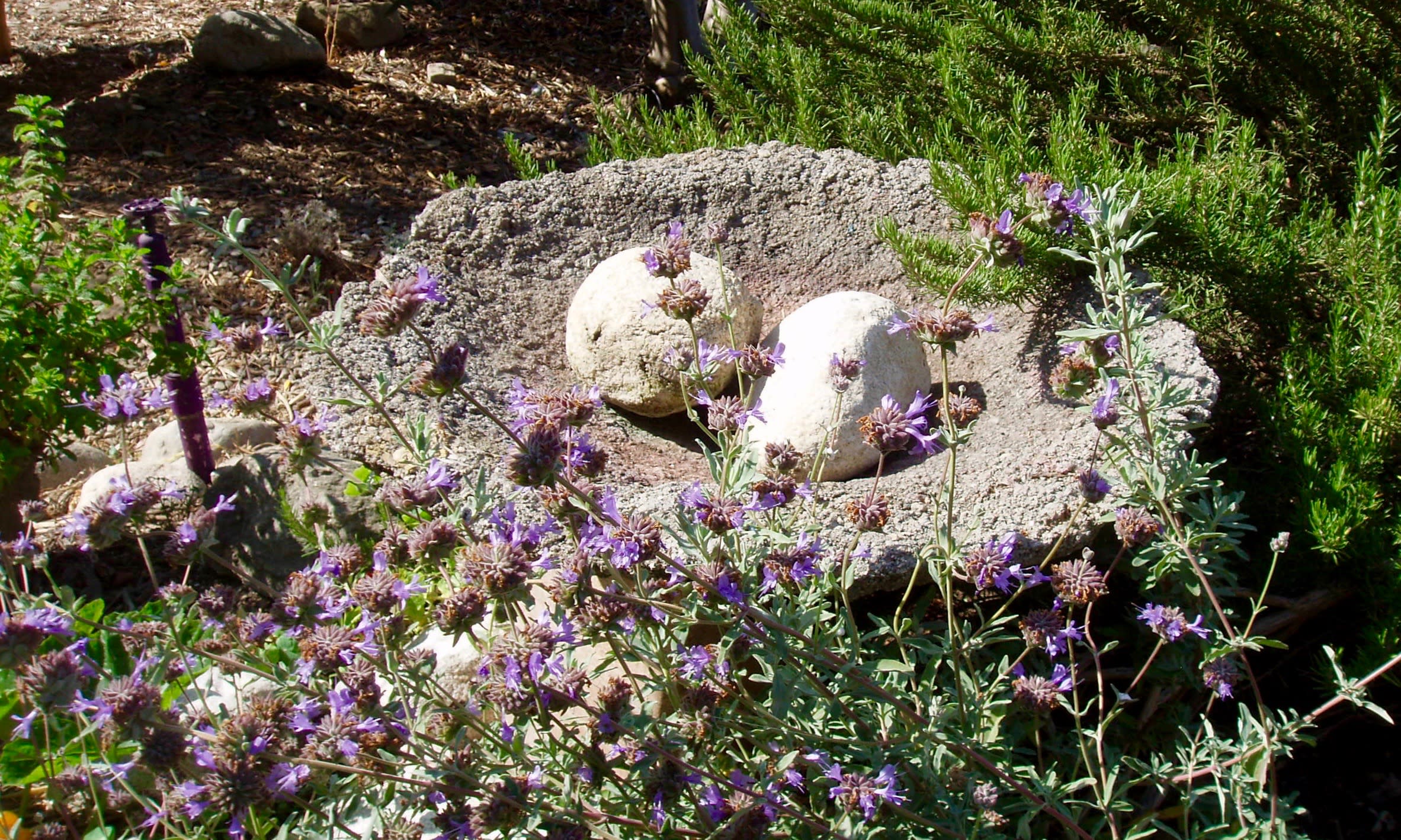 Softscape and Hardscape: Garden Components - Dengarden