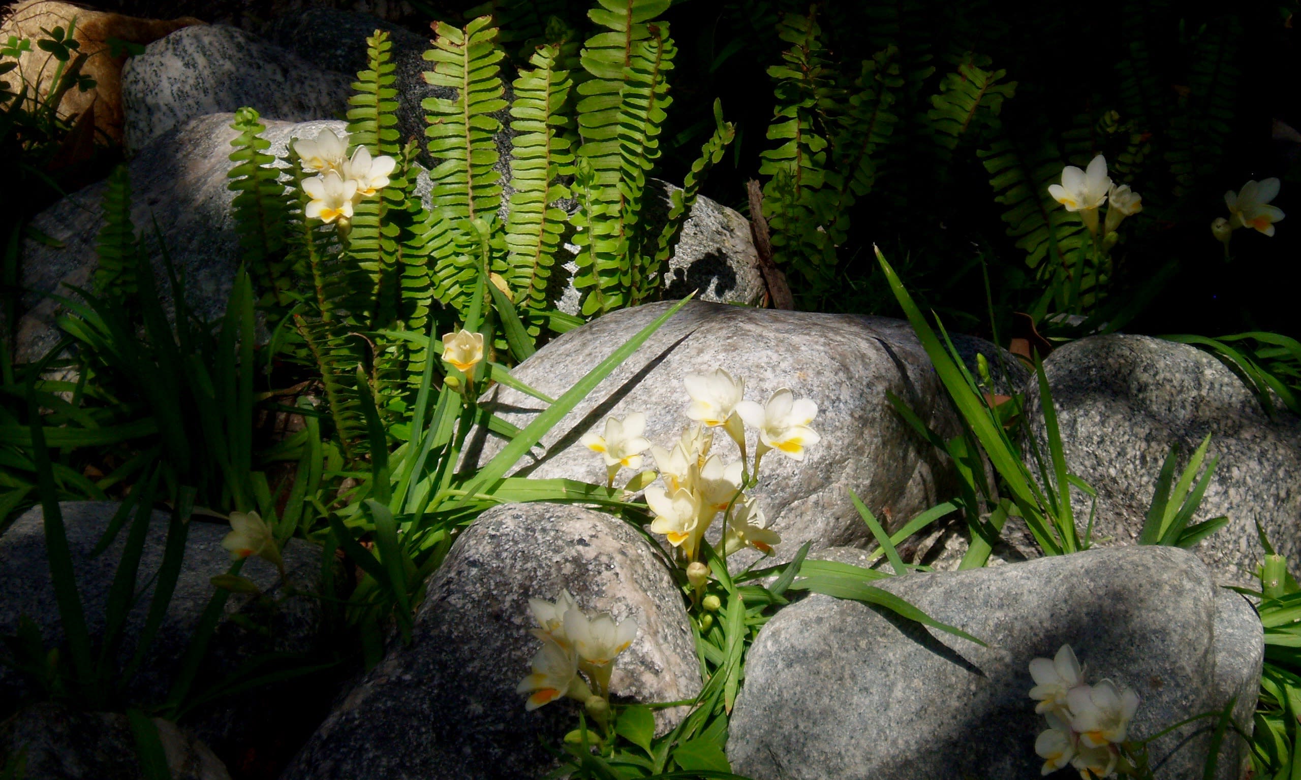 Softscape and Hardscape: Garden Components - Dengarden