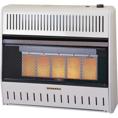 How to Choose Between Blue Flame or Plaque Heaters - Dengarden
