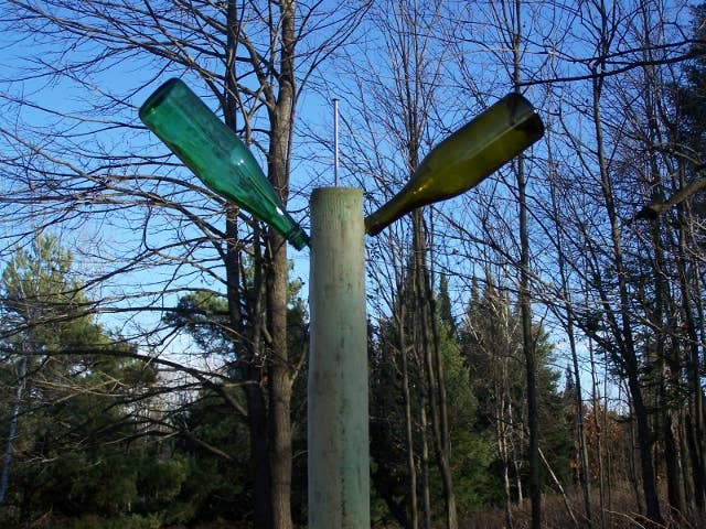 Make Your Own Bottle Tree The Bottle Tree Last Chance To Get Your