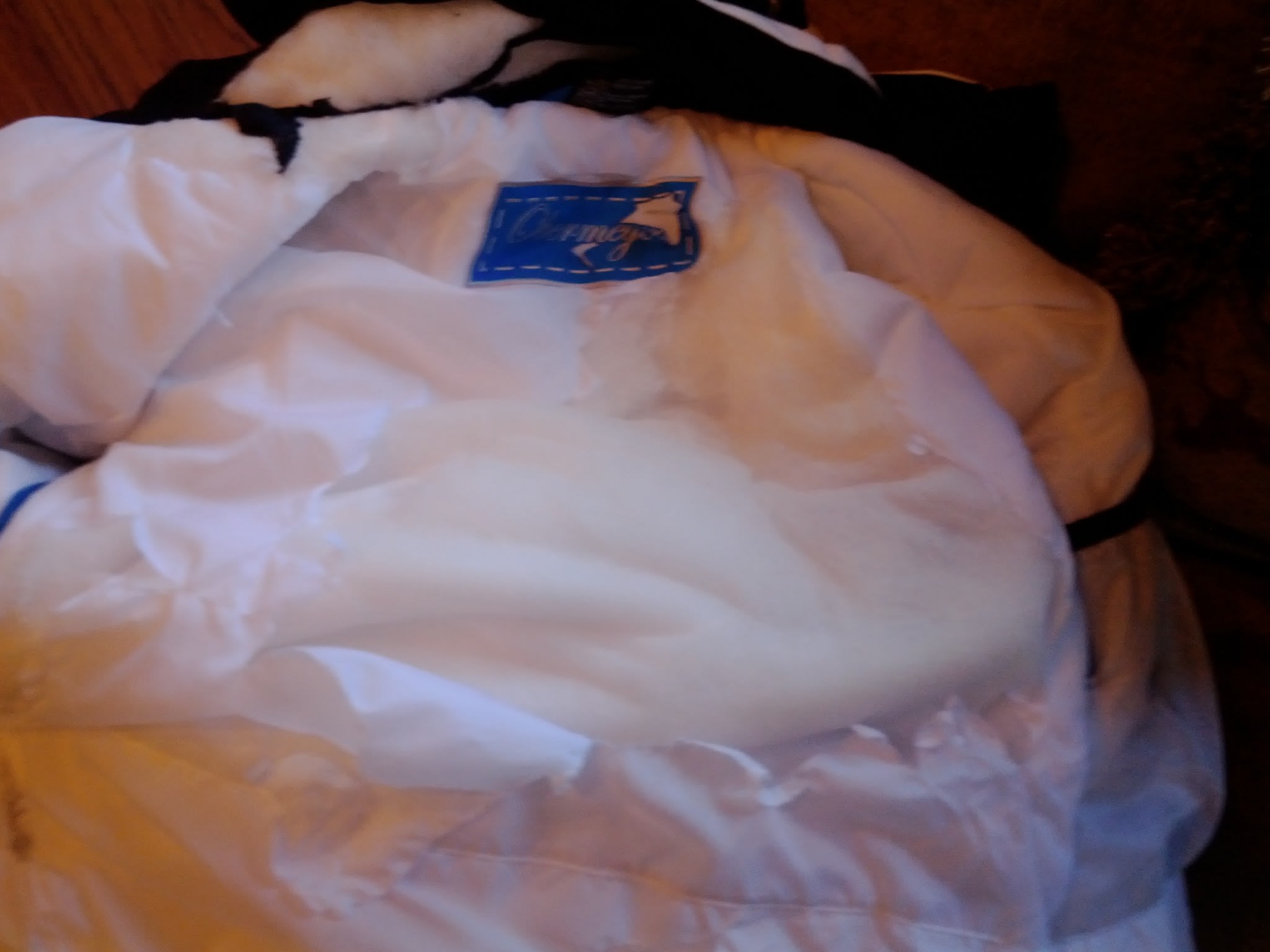 How to Remove Melted Plastic or Nylon From a Glass Surface - Dengarden