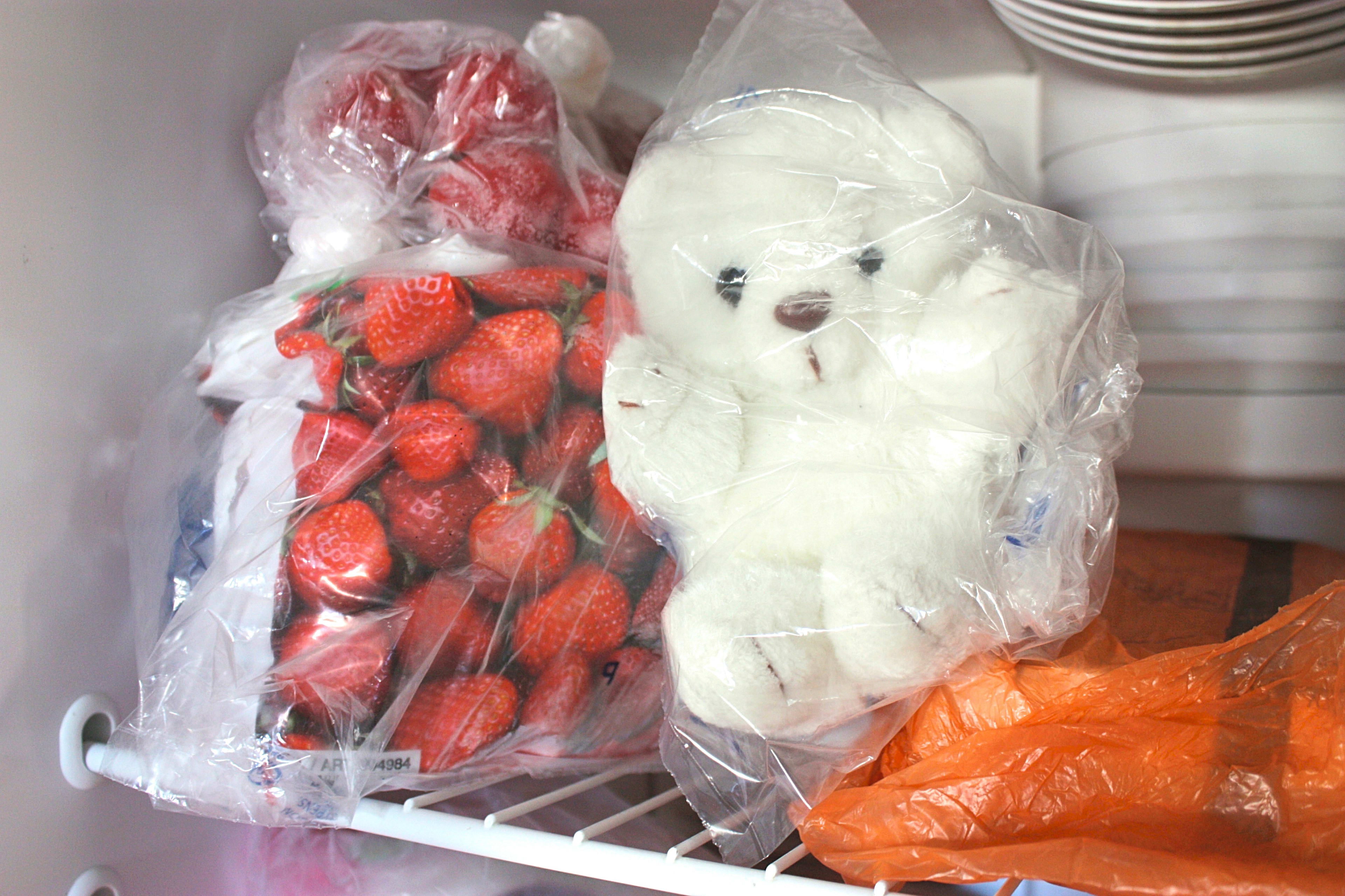 How to Get Rid of Dust Mites in Your Home for Good - Dengarden