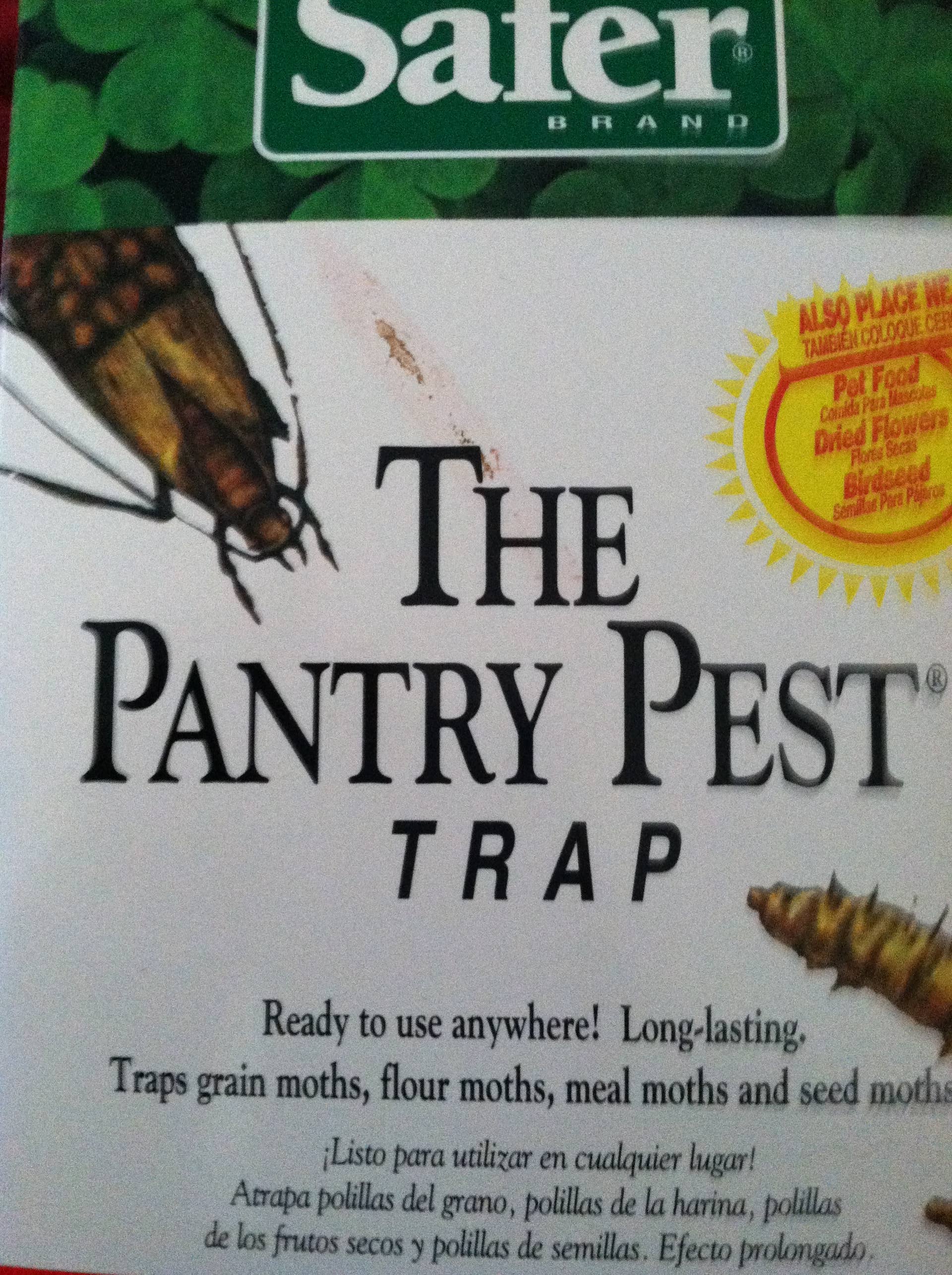 How to Get Rid of Pantry Moths in Your House for Good - Dengarden