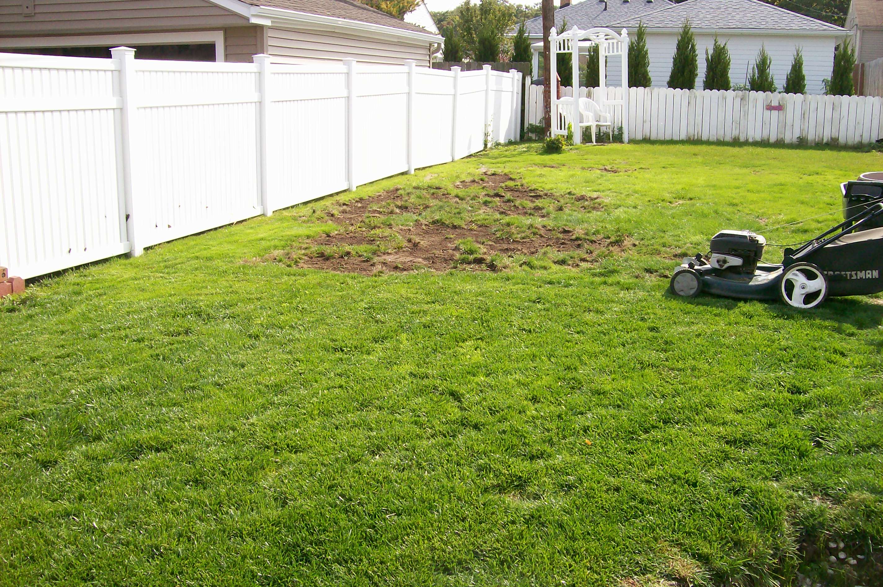 How to Get Rid of Lawn Grubs - Dengarden