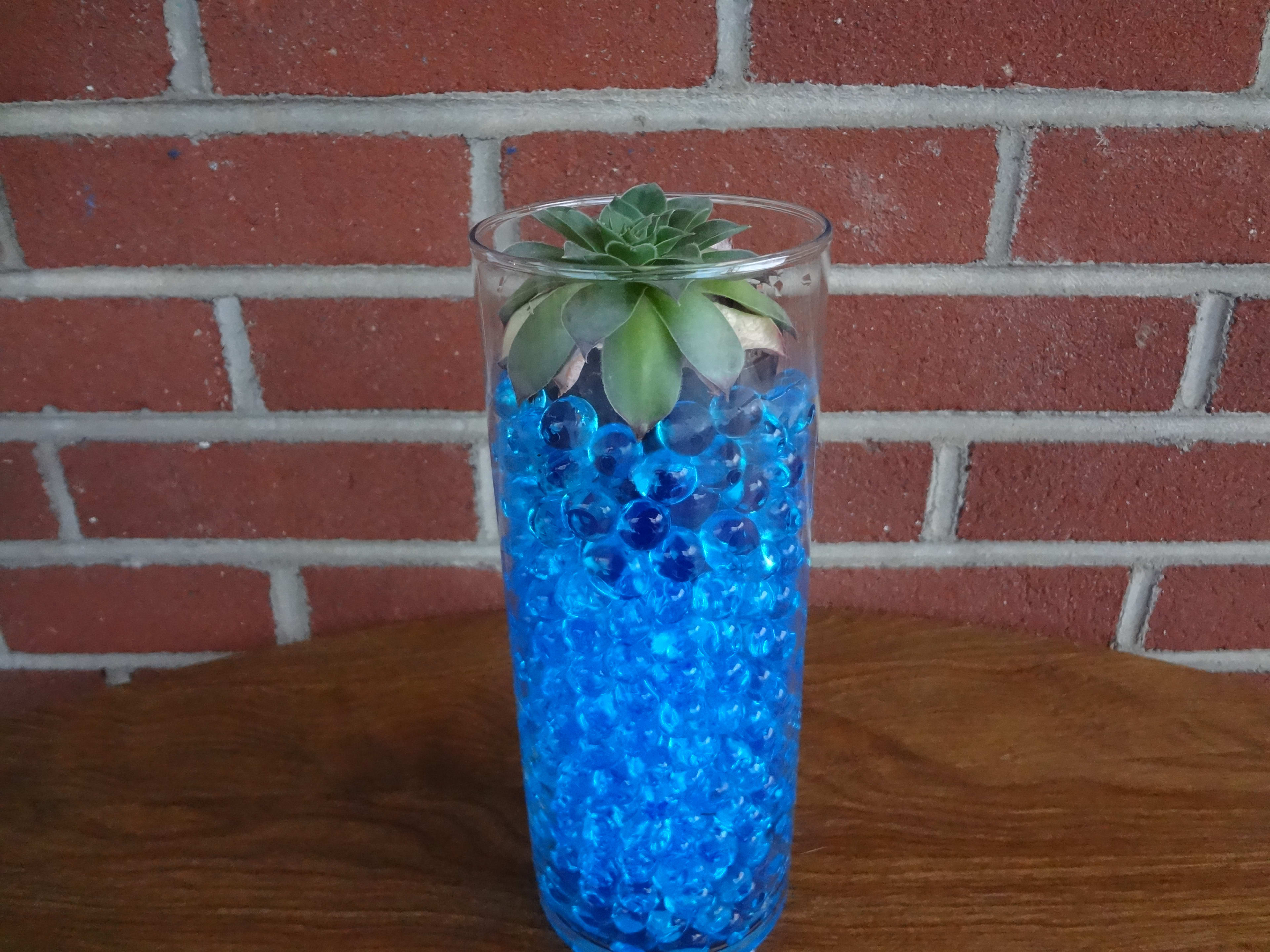 Water Beads: Ideas and Uses - Dengarden