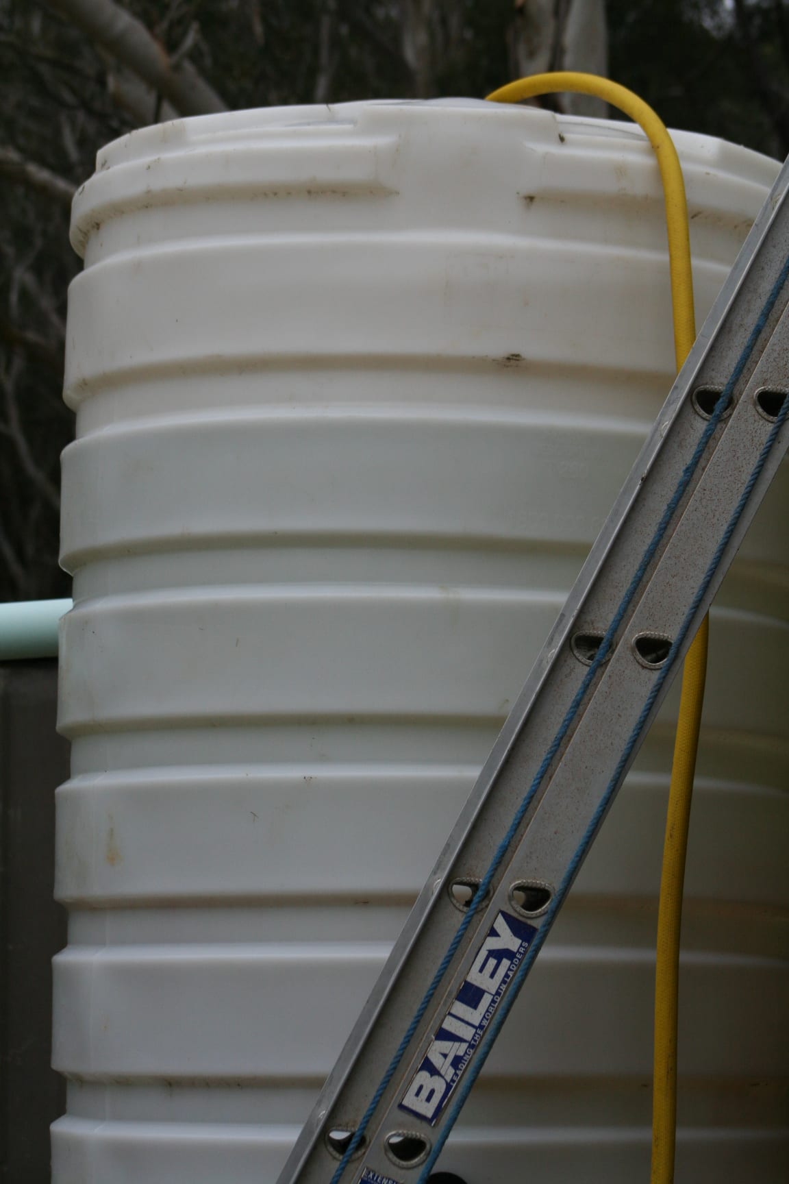 How to Harvest and Store Rainwater - Dengarden