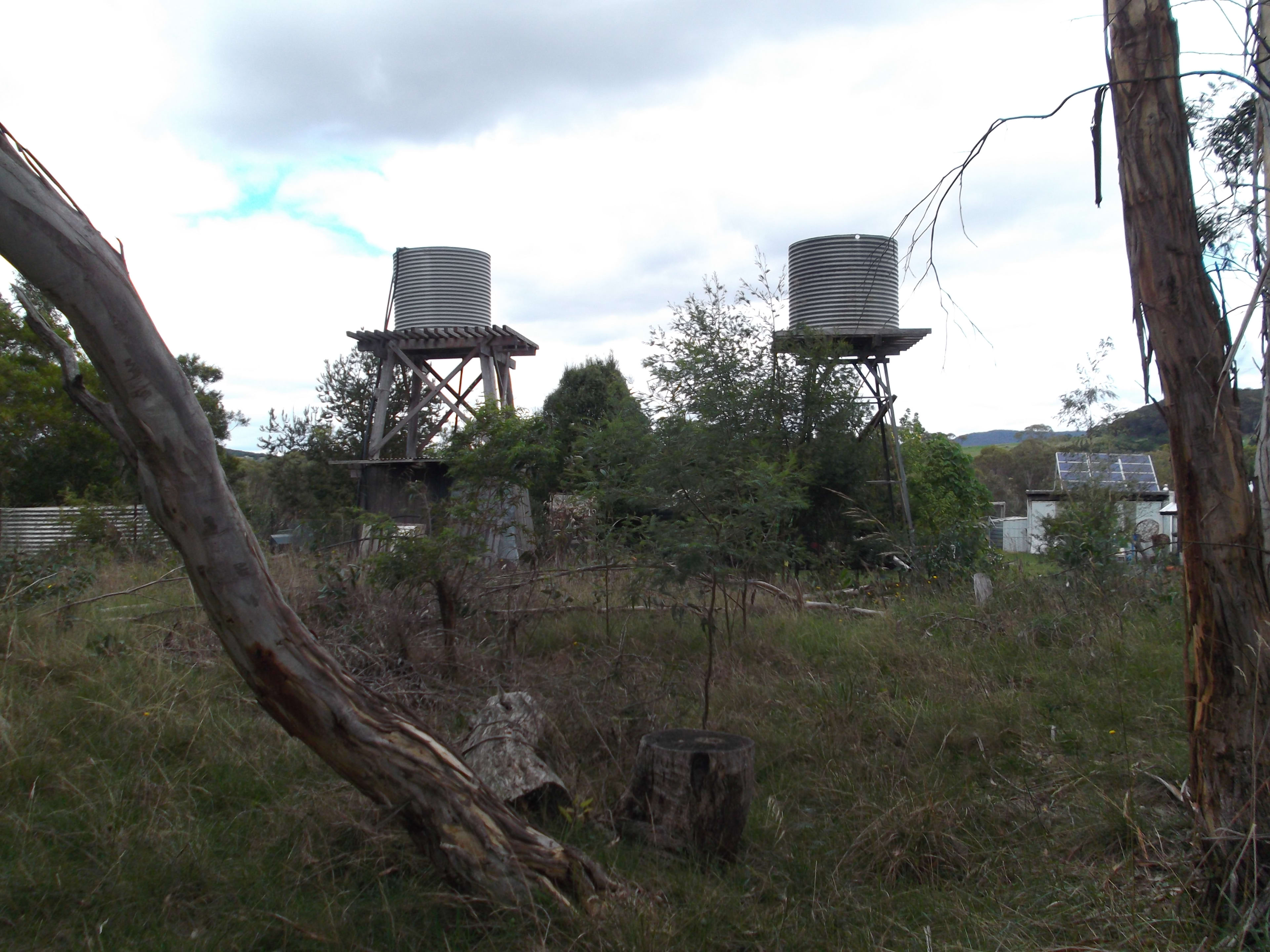How to Harvest and Store Rainwater - Dengarden