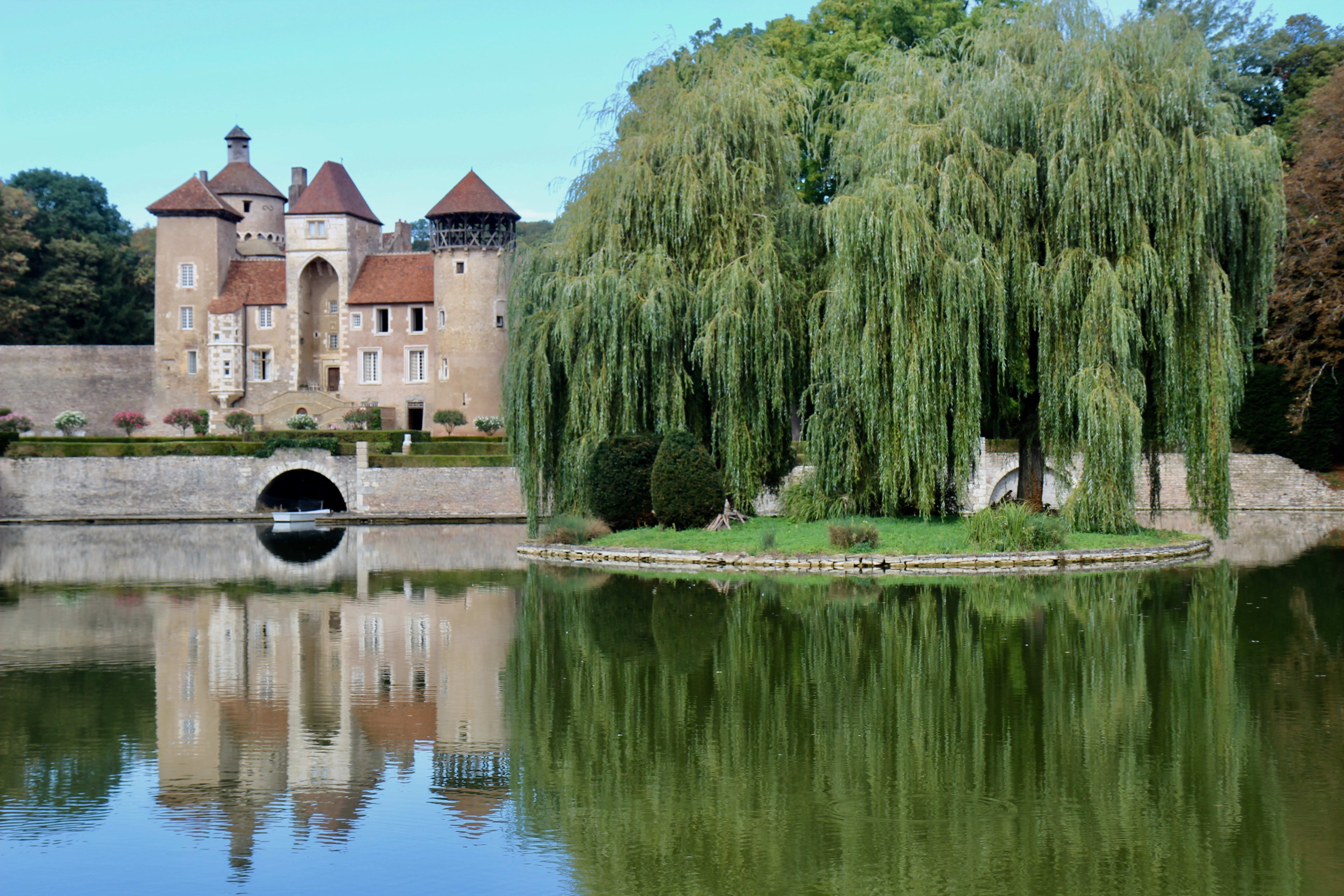 Everything You Need to Know About Weeping Willow Trees - Dengarden