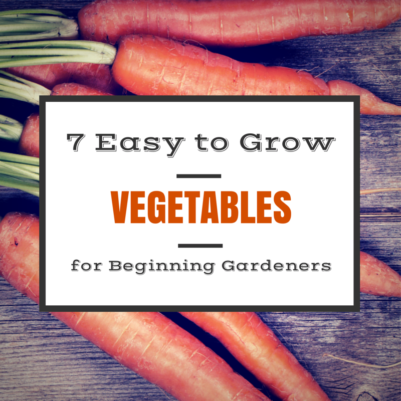 7 Vegetables for Beginner Gardeners - Dengarden
