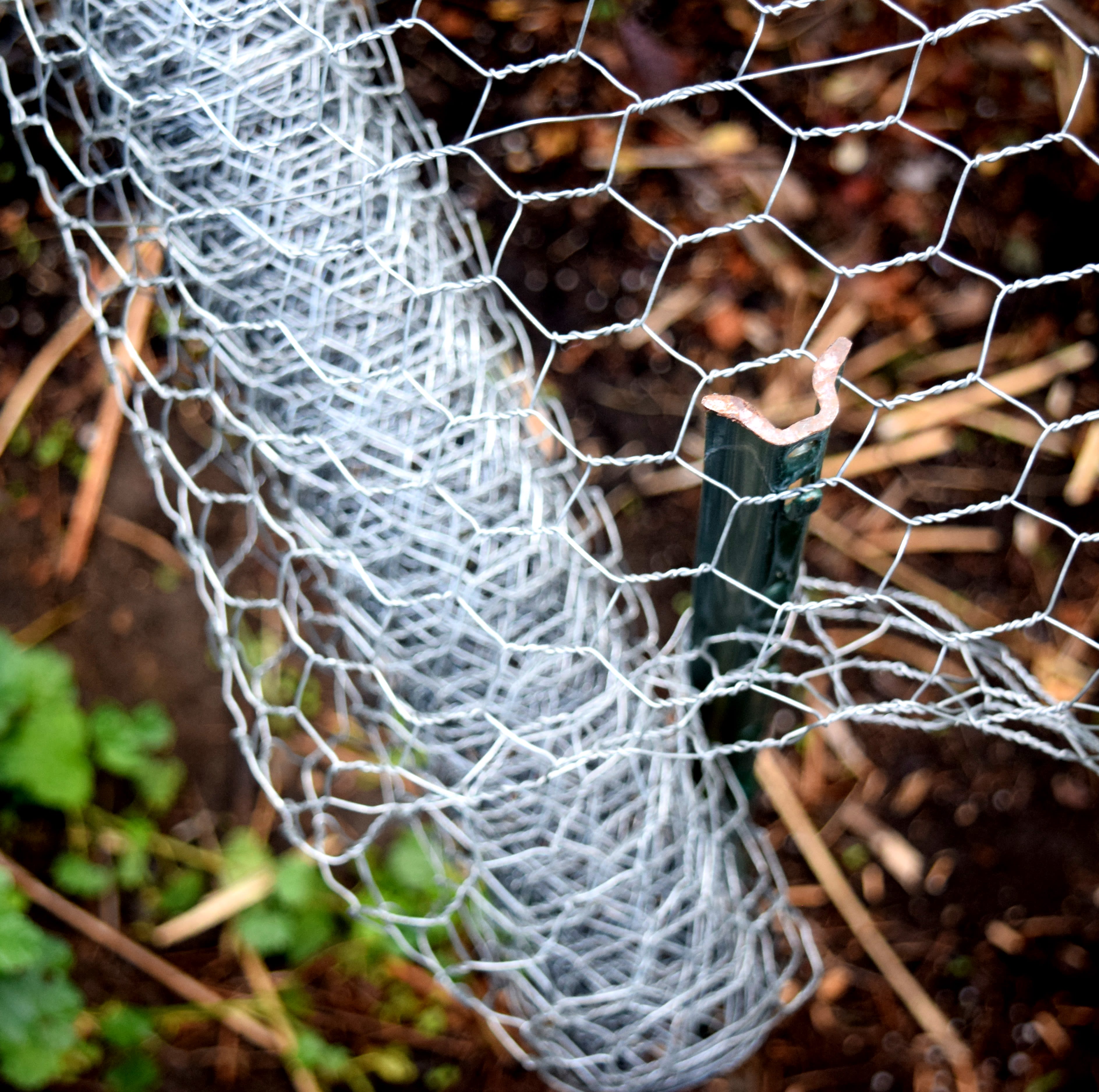 How to Make a DIY Compost Container for a Green Garden - Dengarden