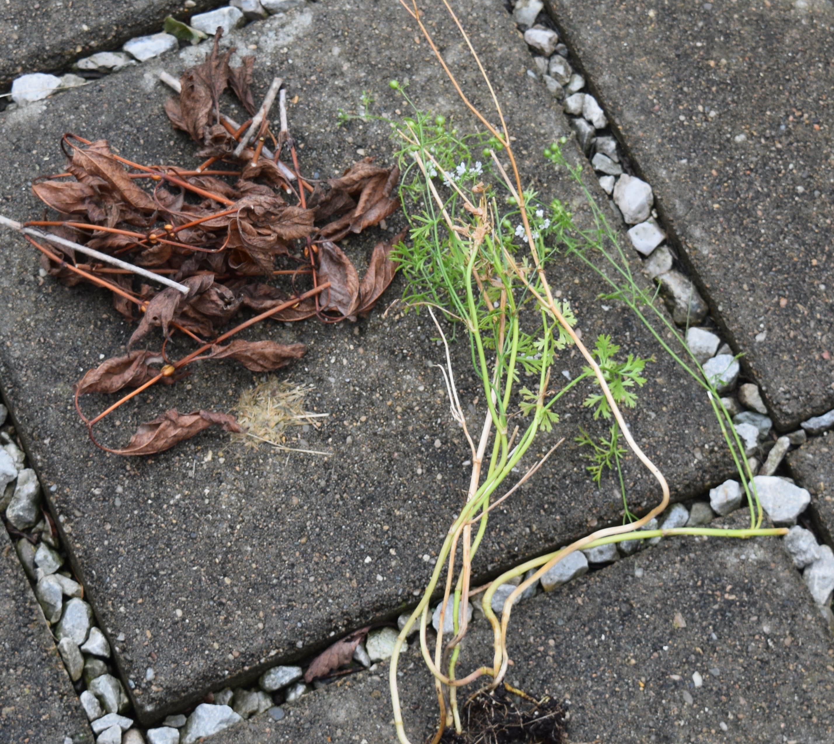 How to Make a DIY Compost Container for a Green Garden - Dengarden