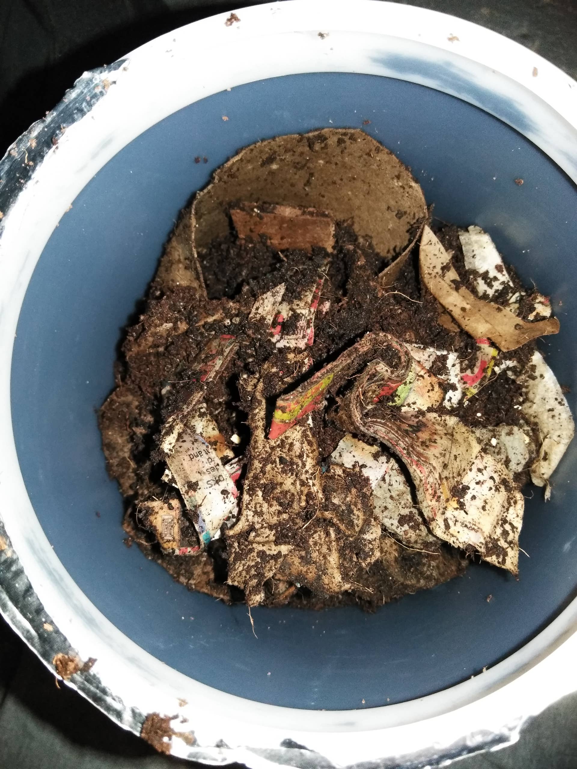 How I Raise Composting Worms in My Basement - Dengarden