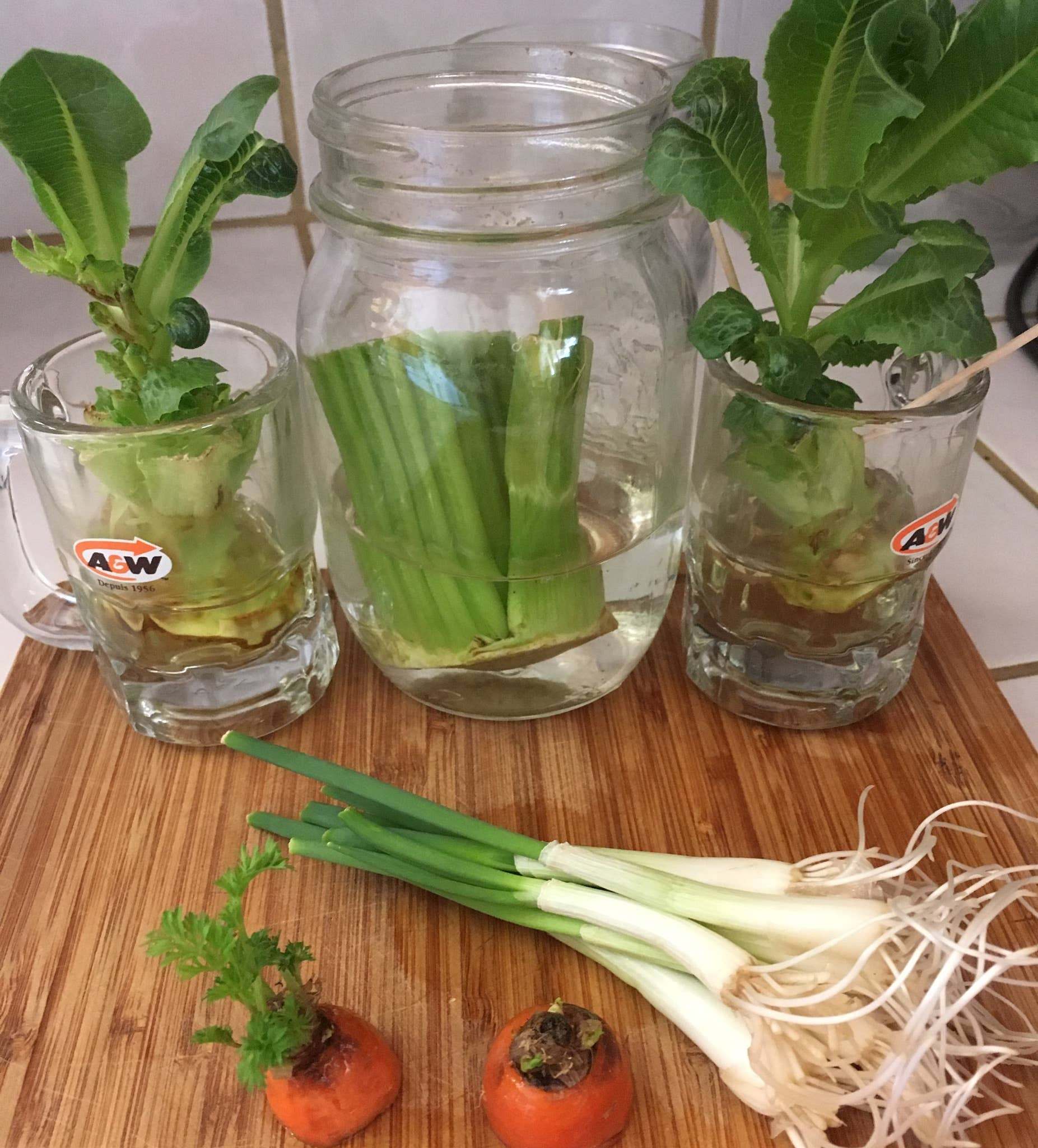 Tips and How-Tos for Planting Food Gardens - Dengarden