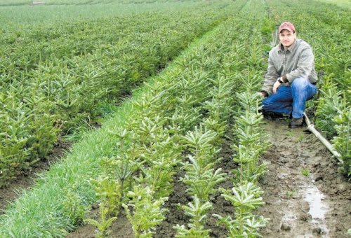 Types of Agriculture - Dengarden