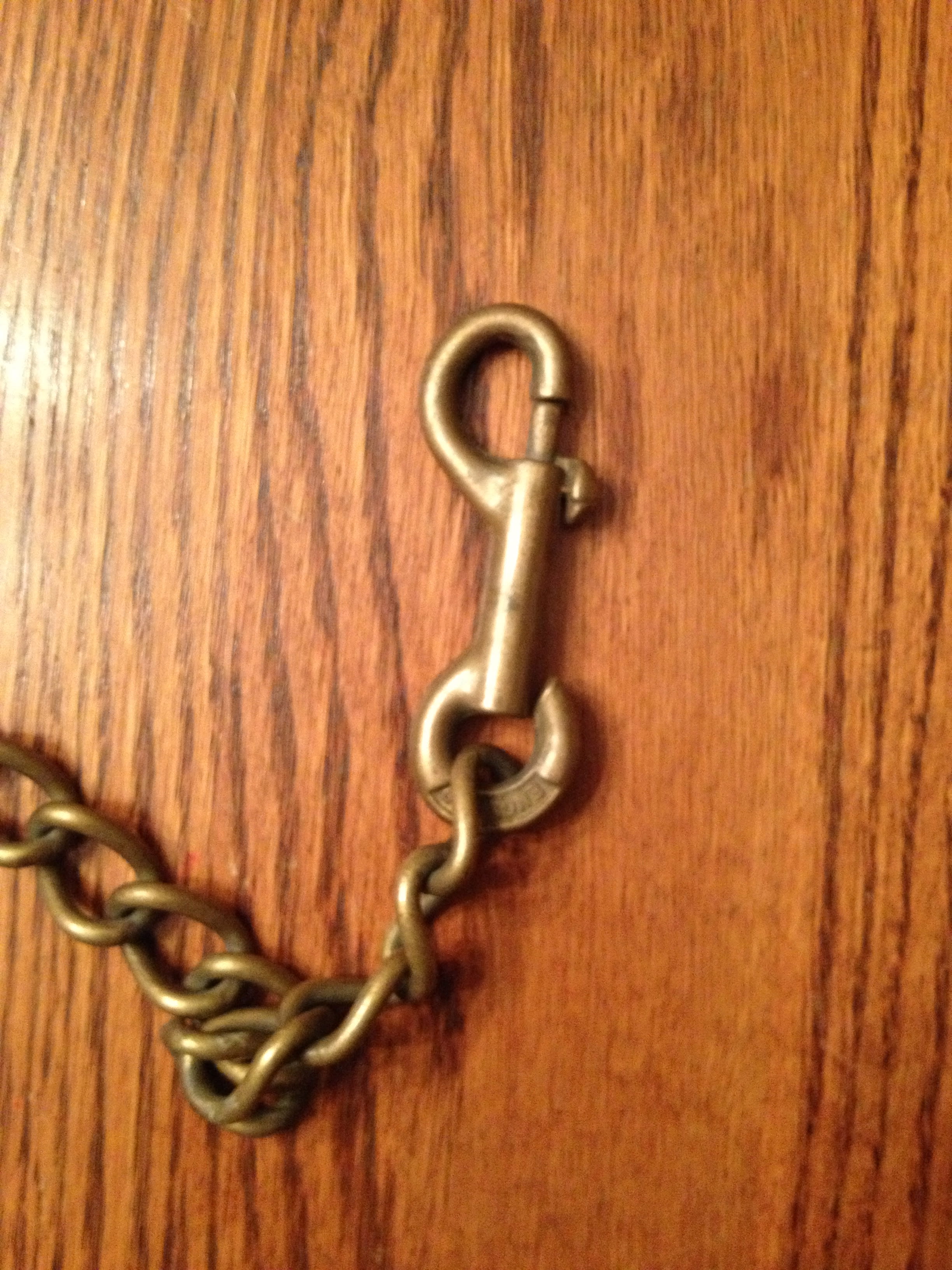 How to Put a Lead Rope on a Horse - Dengarden