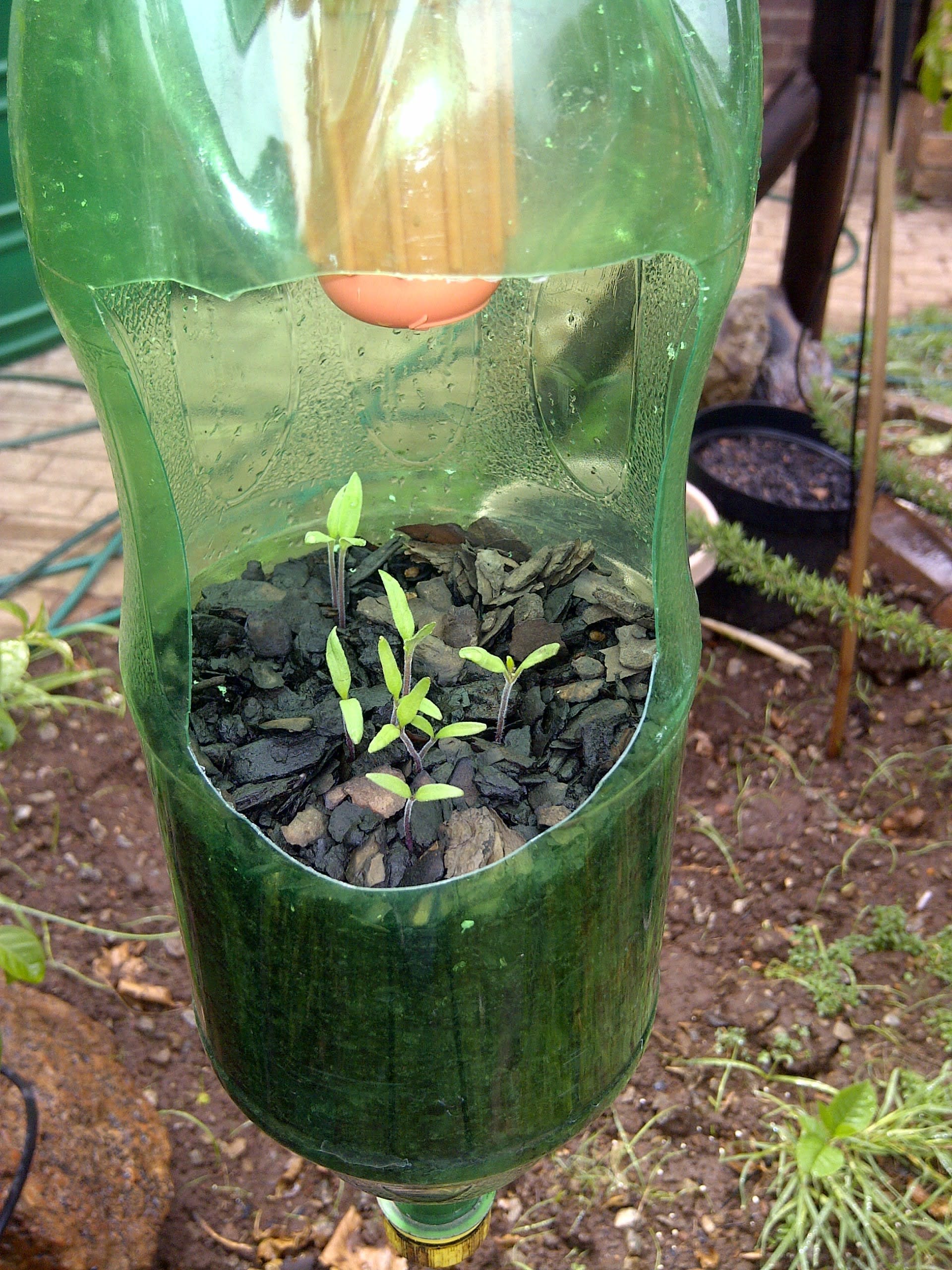 How to Build Your Own Hanging Garden With Plastic Bottles - Dengarden