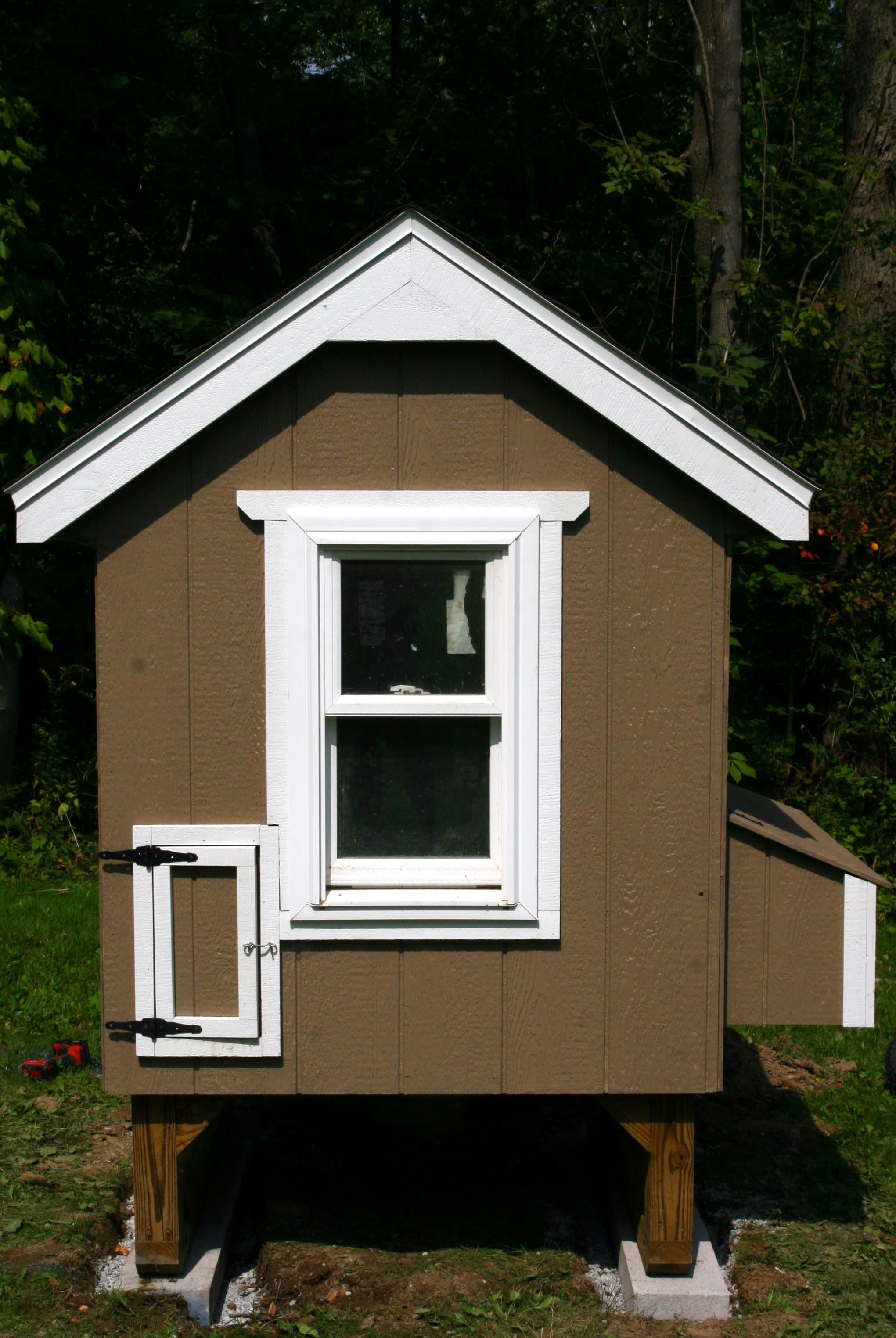 How to Make Your Chicken Coop Predator-Proof - Dengarden