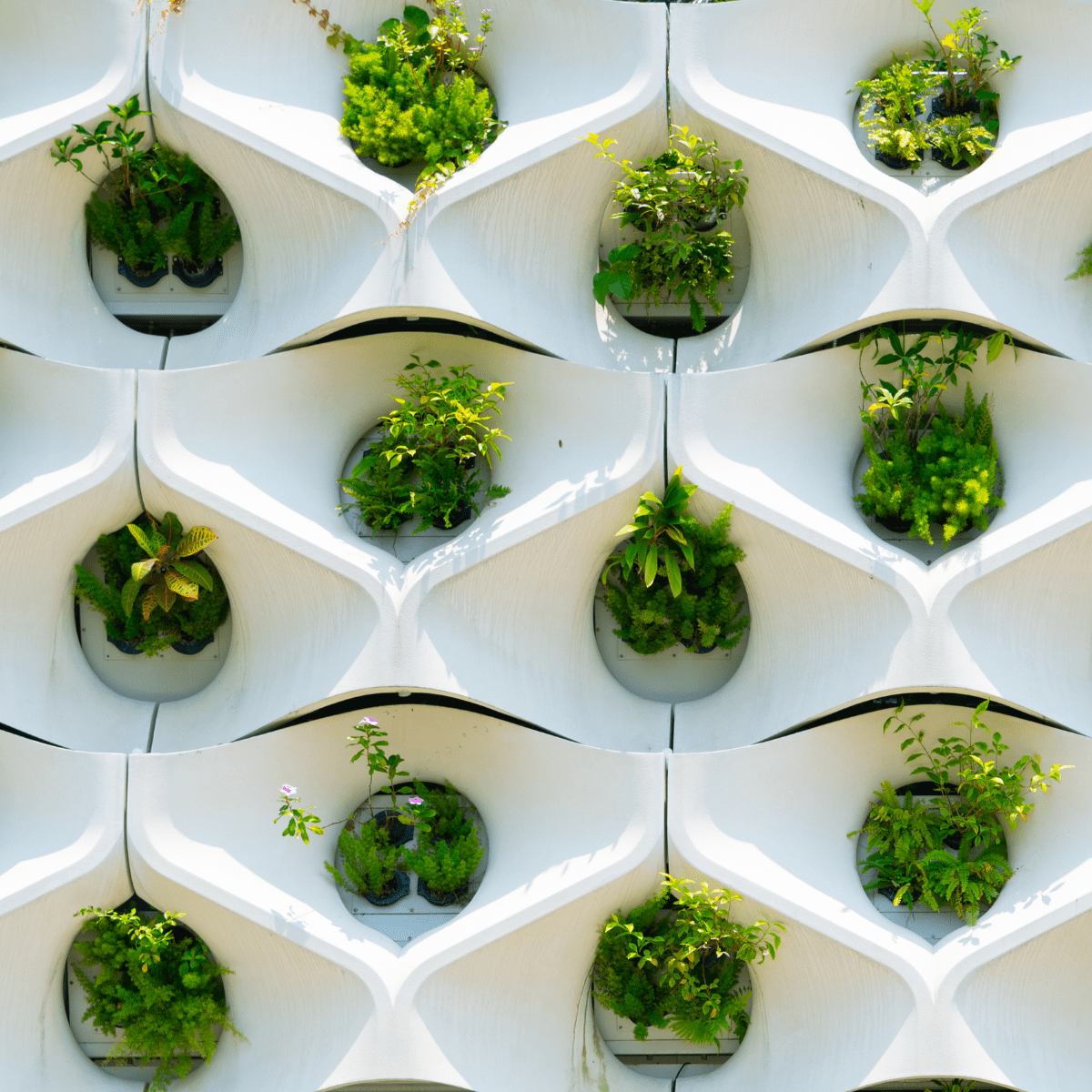 Vertical garden ideas for even the smallest of spaces - Dengarden