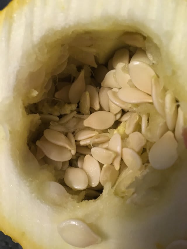 How to Grow Squash-Pumpkin Hybrids - Dengarden