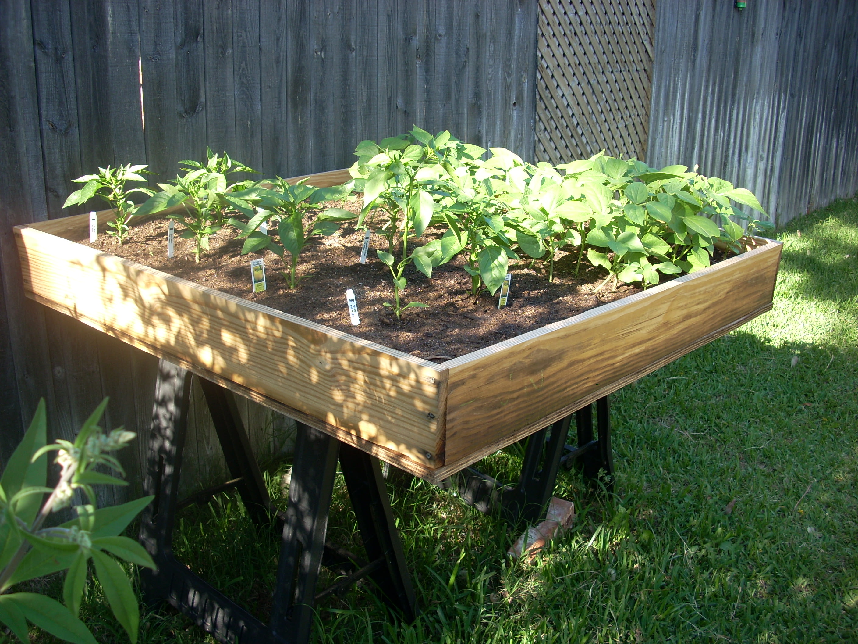 Best Compost Ingredients for Mel's Mix (Square-Foot Gardening) - Dengarden