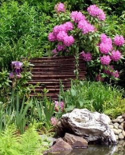 How to Make Your Backyard Feel Like a Retreat - Dengarden