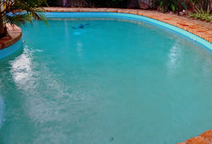 How to Get Rid of Algae in a Pool Naturally Without Chemicals - Dengarden