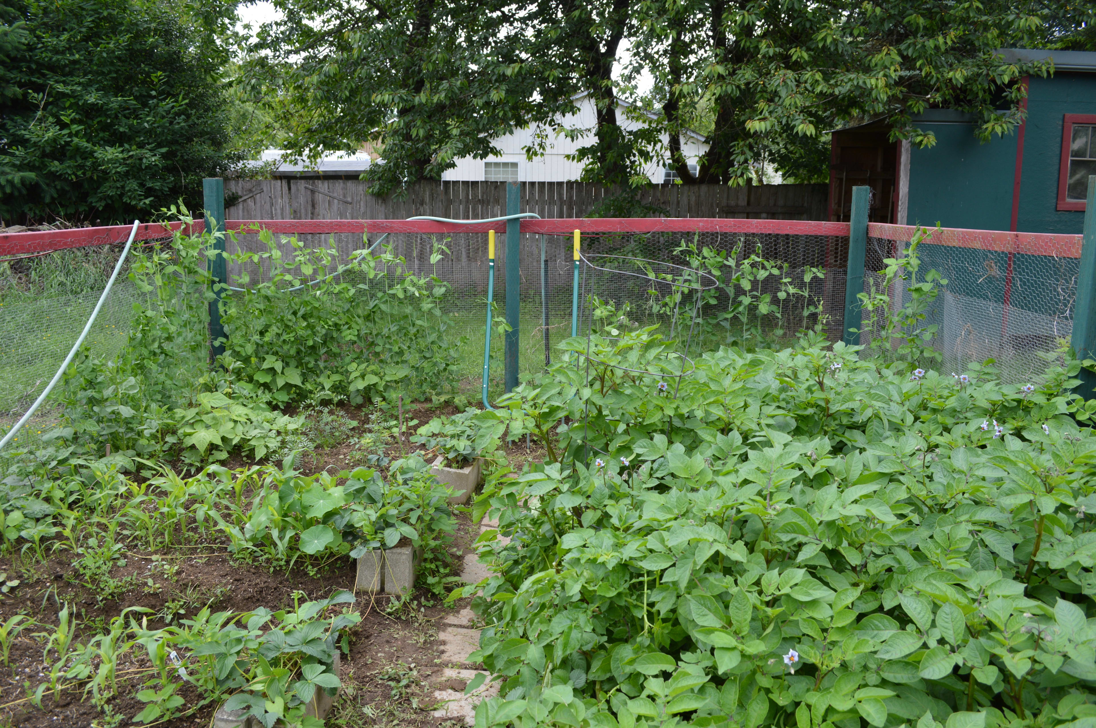 How to Create a No-Till Garden: Healthier Soil, Less Work - Dengarden