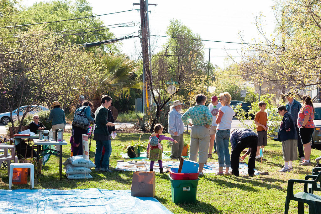 To Swap or to Sell Your Houseplants? - Dengarden