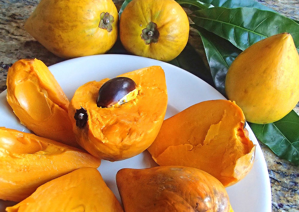 Eggfruit: A Tropical Taste of Hawaii - Dengarden