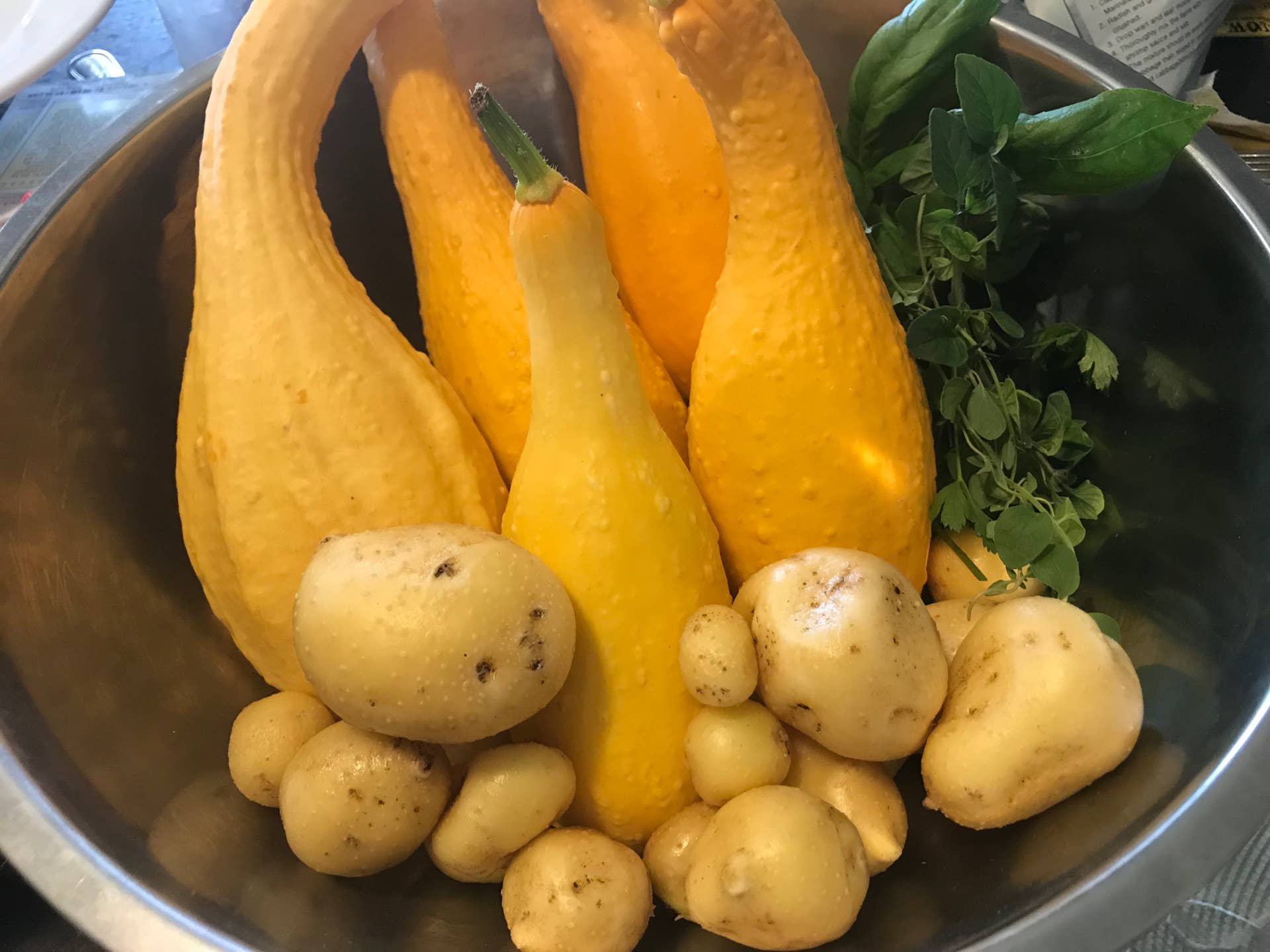 Tips and How-Tos for Planting Food Gardens - Dengarden
