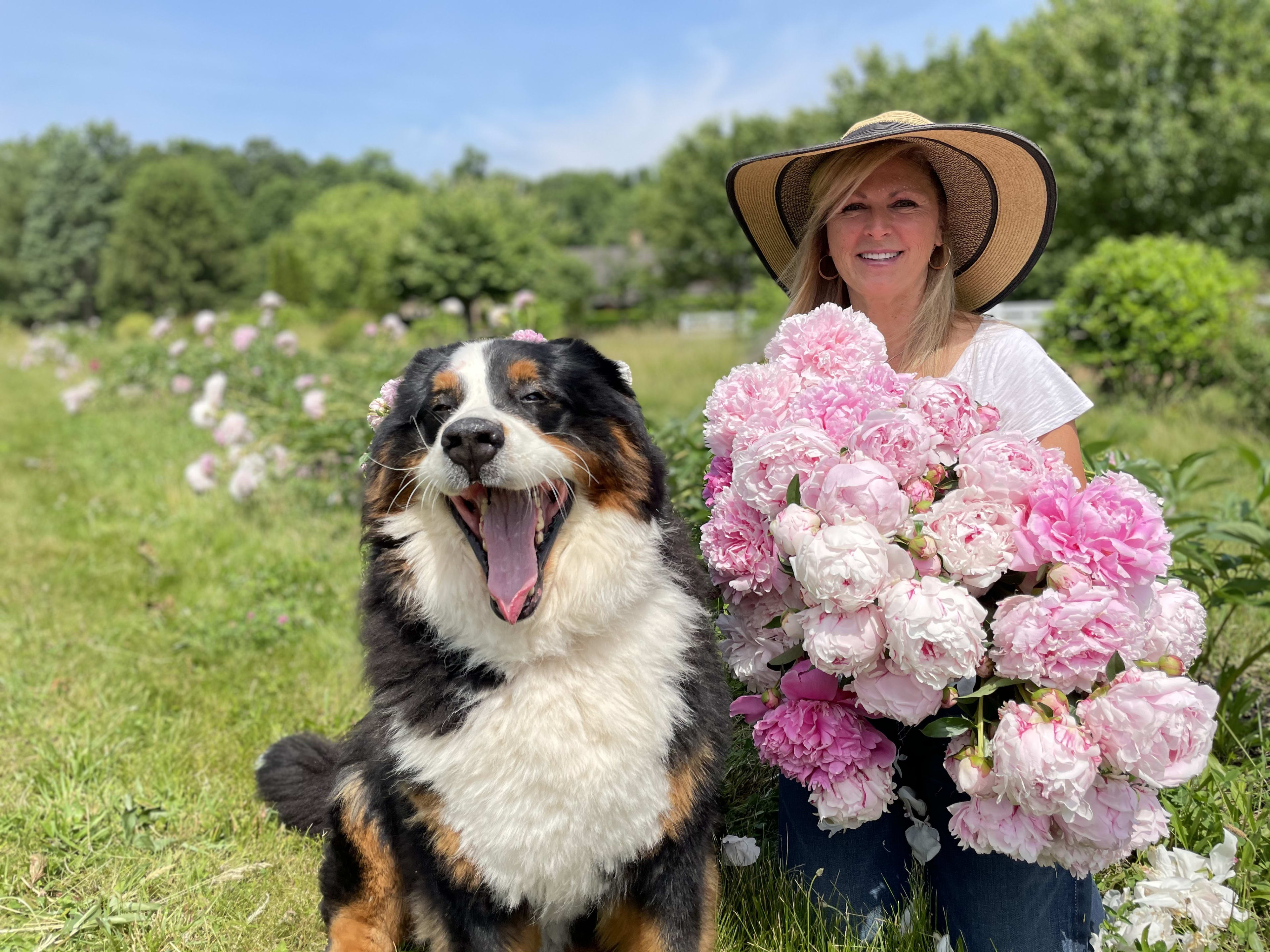 How to Plant Peony Tubers in the Fall - Dengarden