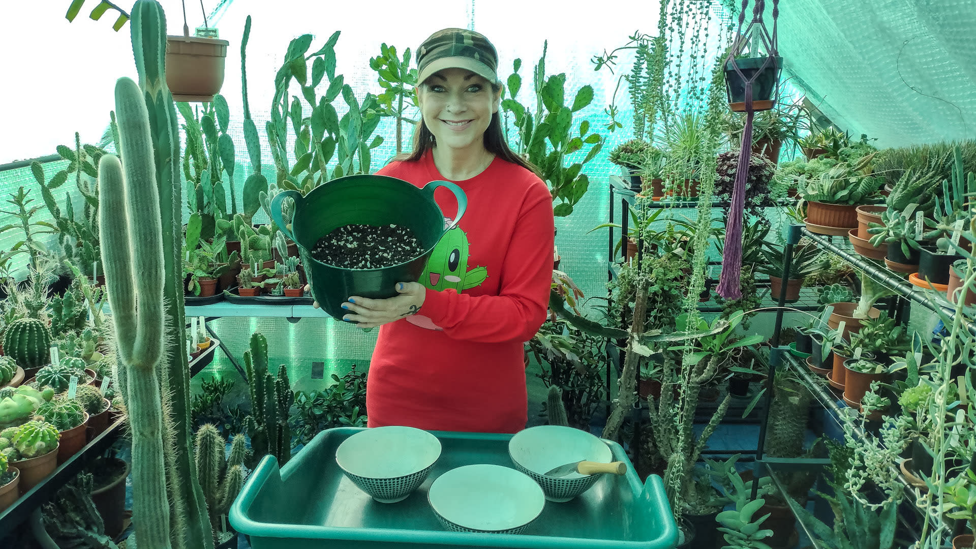 How to Make Cactus and Succulent Soil Mix - Dengarden